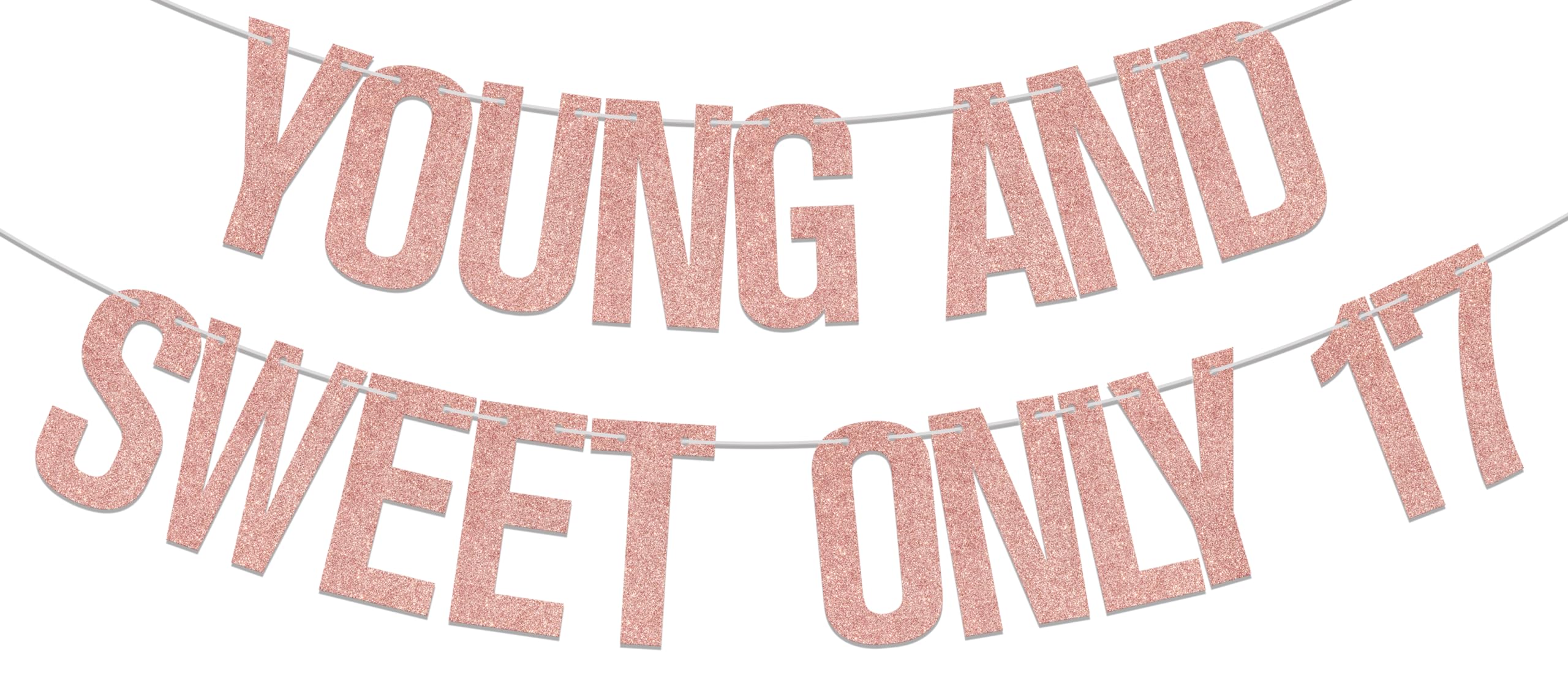 Amazon.com: Young and Sweet Only 17 Banner, Happy 17th Birthday, Cheers ...