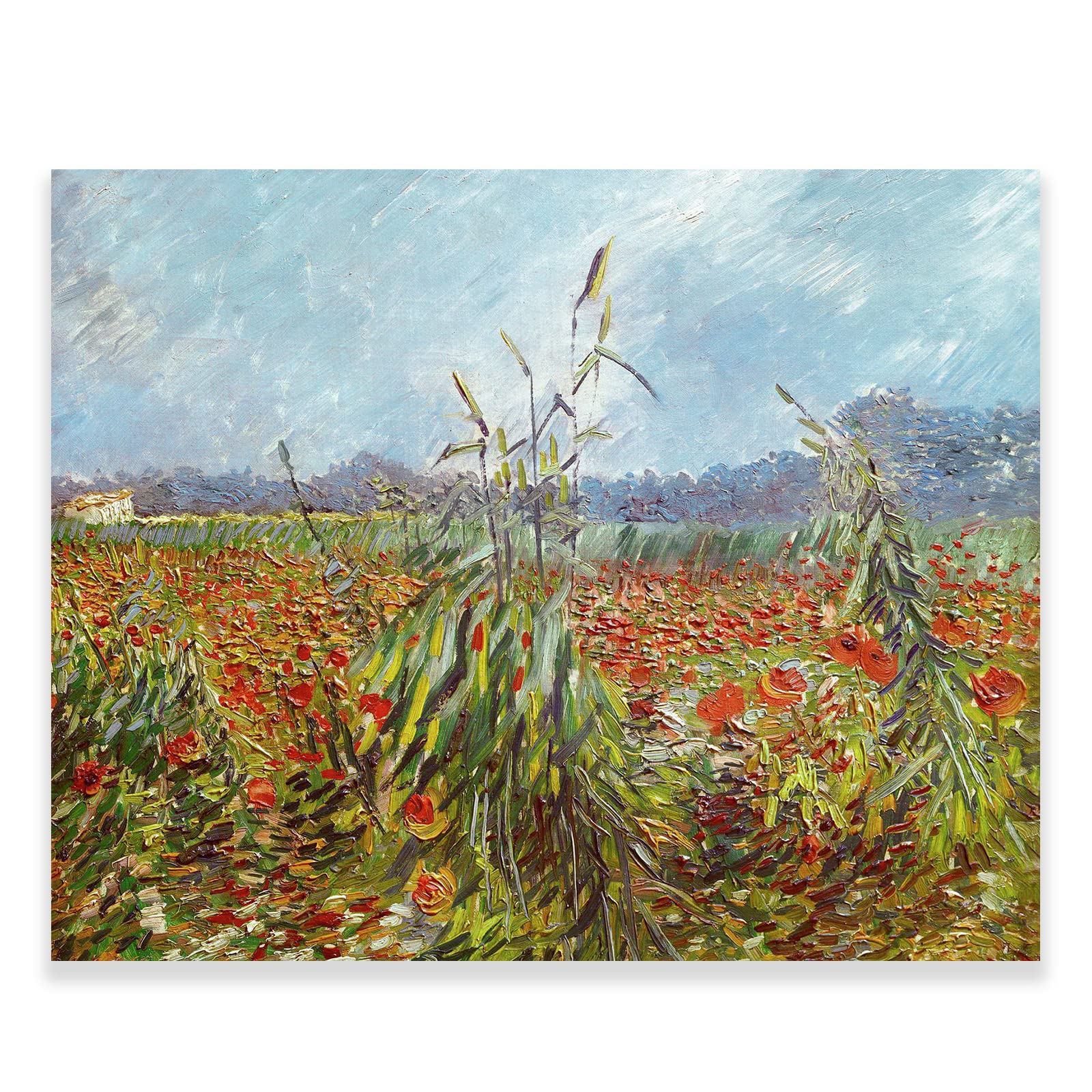 Amazon.com: KWAY Vincent Van Gogh Wall Art - Green Ears of Wheat Poster ...