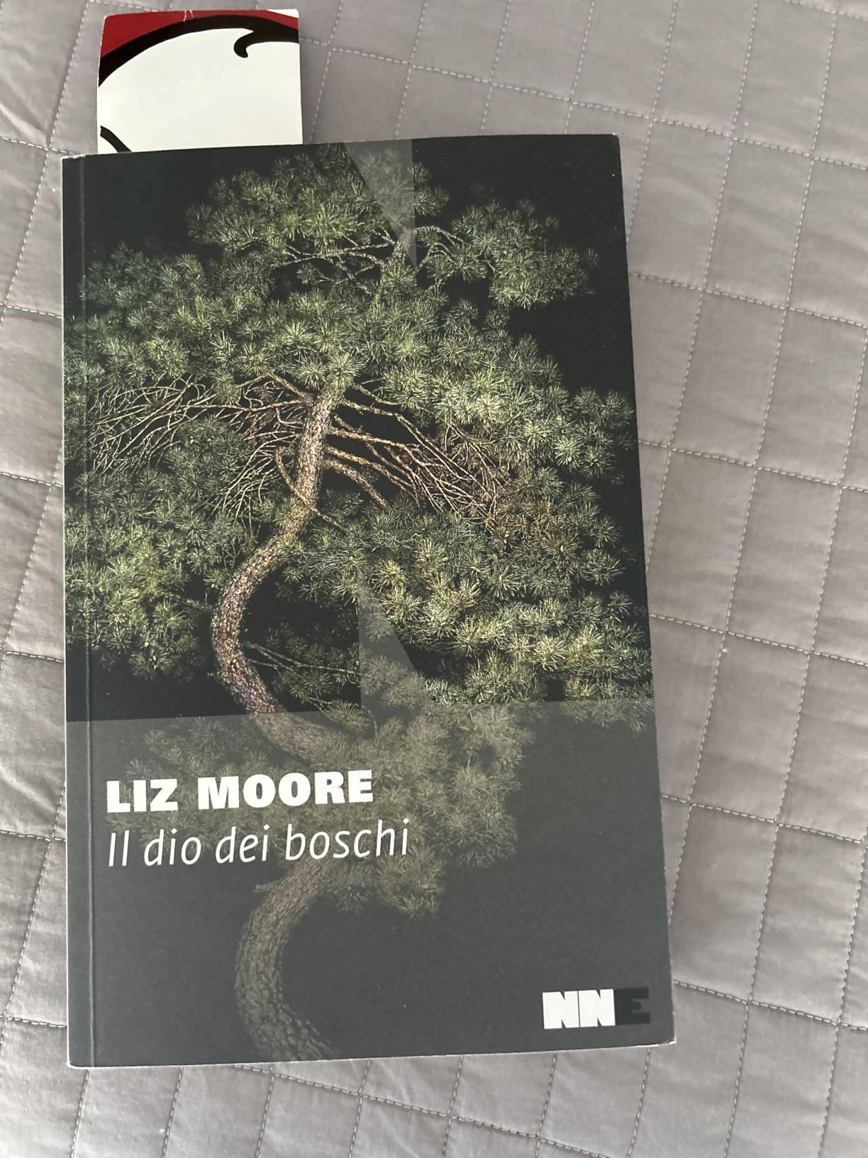 Il dio dei boschi : Moore, Liz, Arduini, Ada: Amazon.it: Libri