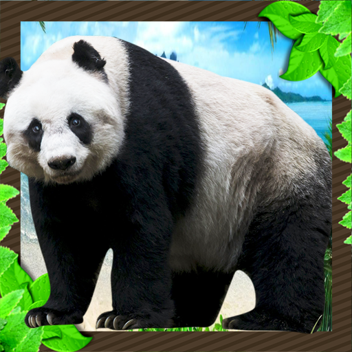 3D Panda – Die 15 besten Produkte im Vergleich - Elternchecker