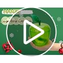 Amazon.com: HANZE Large Green Apple Container, Apple Shaped Candy Toy ...