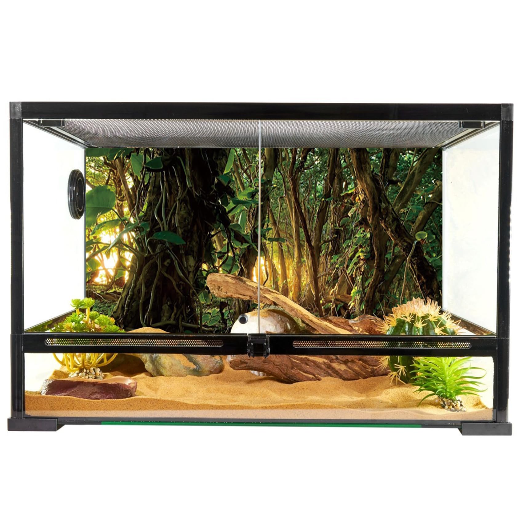 Snapklik.com : Reptile Terrarium Background 48x24 Inch Reptile Tank ...