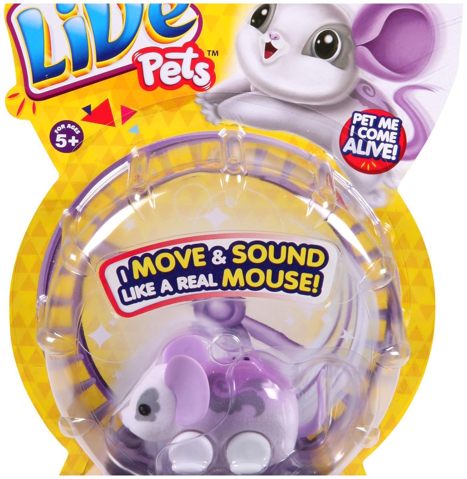 A Little Pet Mouse