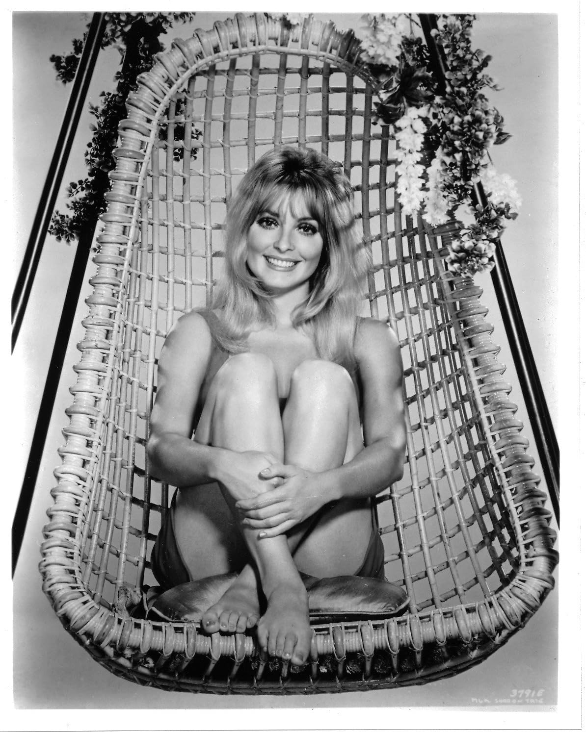 Sharon Tate Leggy 8x10 Photo G1548 At Amazon S Entertainment