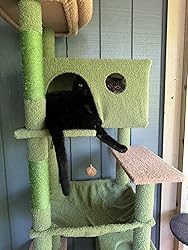 Amazon.com : Meow Sir Large Cat Tree for Large Cats 70 Inches Tall Cat Tower with Large Hammock ...