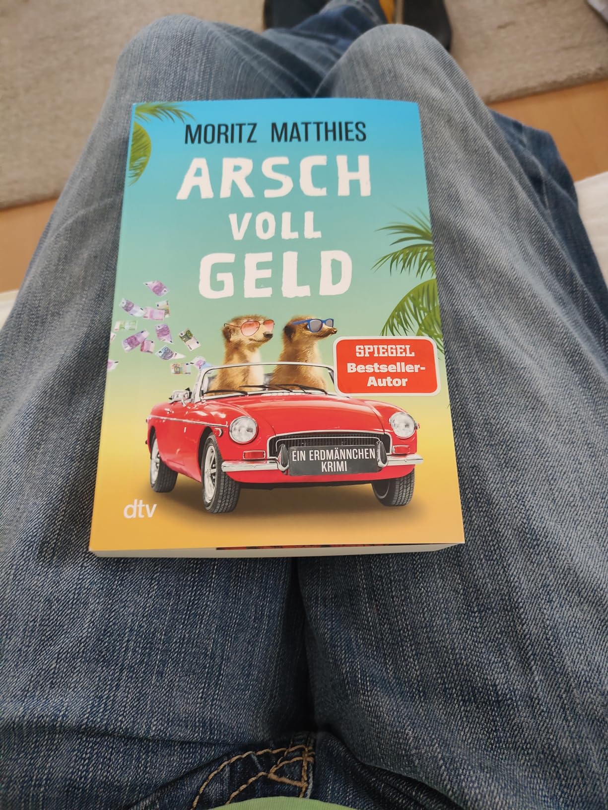 Arsch voll Geld: Ray und Rufus 9 (Hörbuch-Download): Moritz Matthies ...