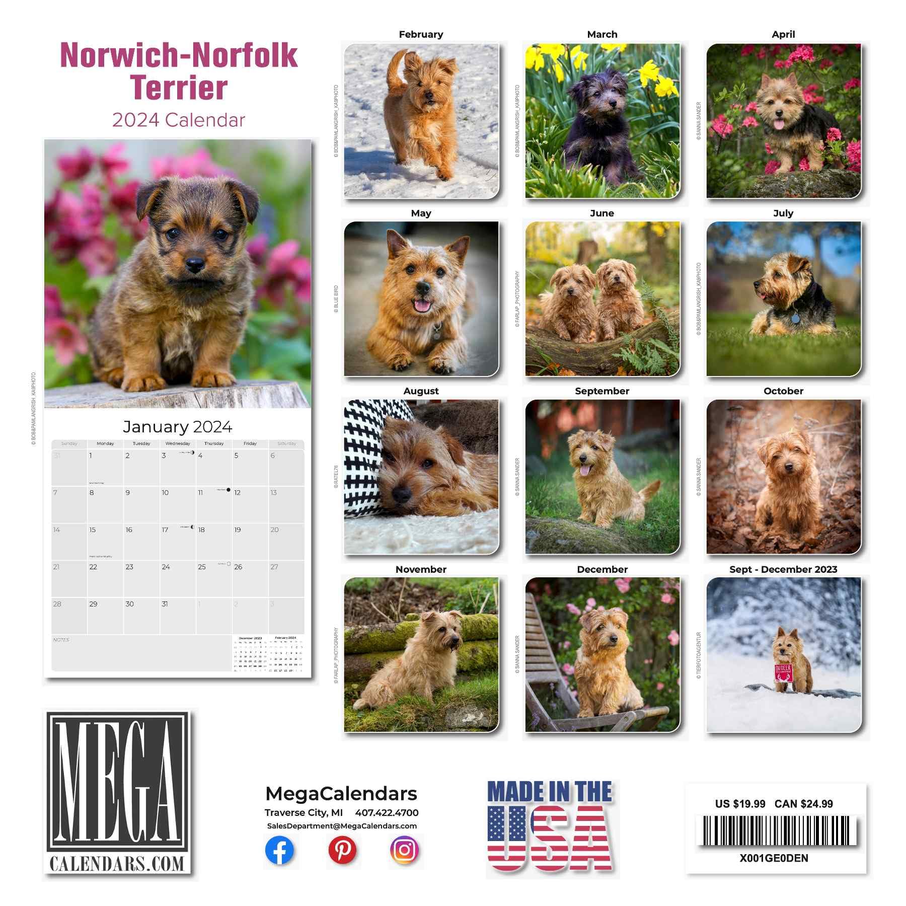 Snapklik.com : 2022 2023 Norwich,Norfolk Calendar,Dog Breed Monthly ...