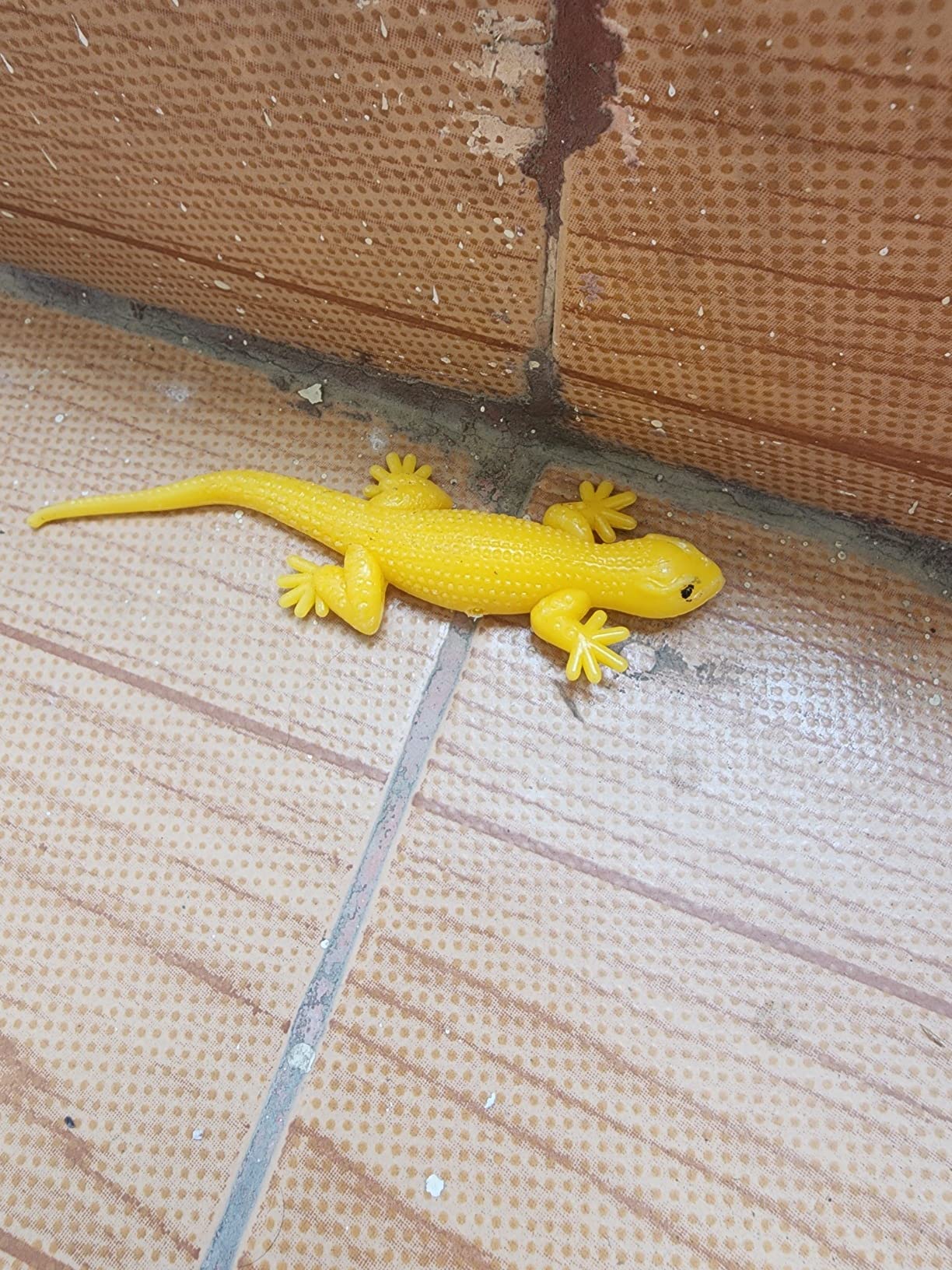 Buy WBD (Chipkali 5 Pcs Real Looking) Toys Fake Lizard House Gecko ...