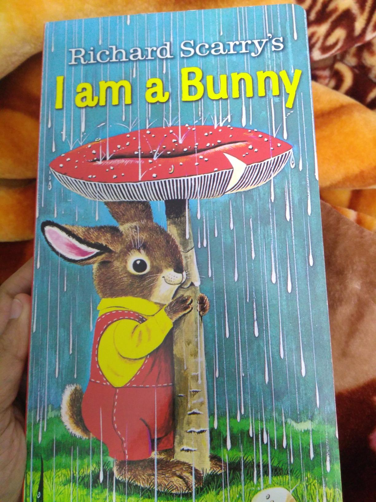 I Am A Bunny : Risom, Ole, Scarry, Richard: Amazon.in: Books