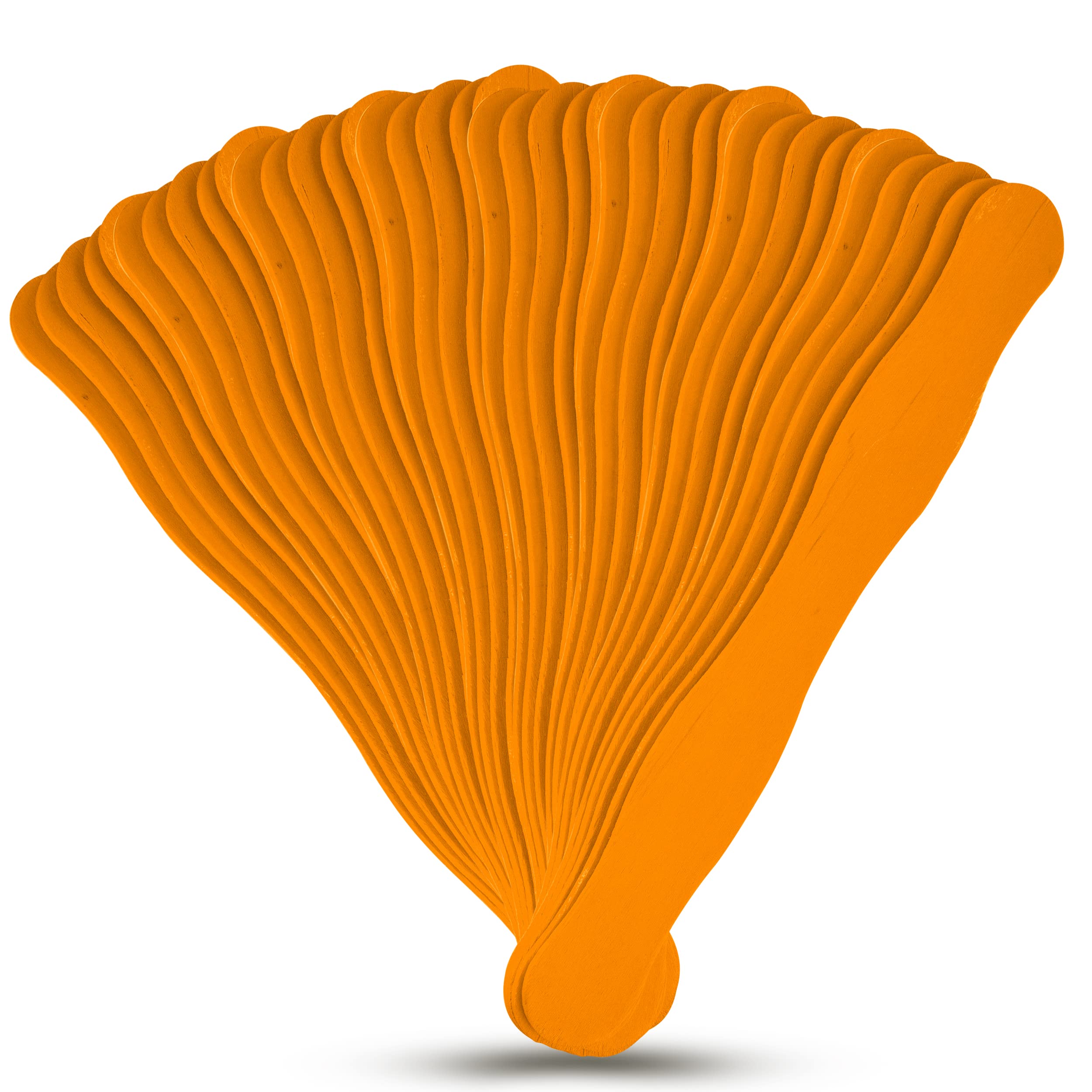 Amazon.com: Manaloom Pack of 200 Curved Craft Sticks - 8" Birchwood ...