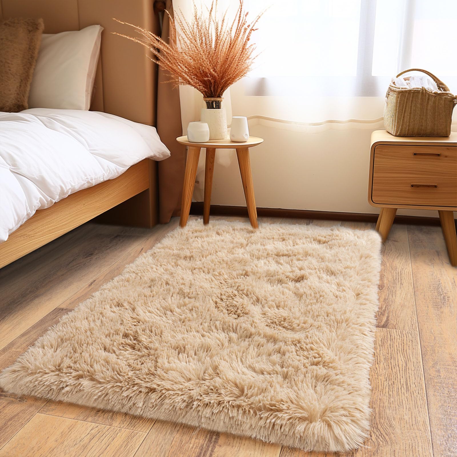 Amazon.com: Pionblank Fluffy Small Rug for Bedroom 2x3 Feet, Shag Soft ...