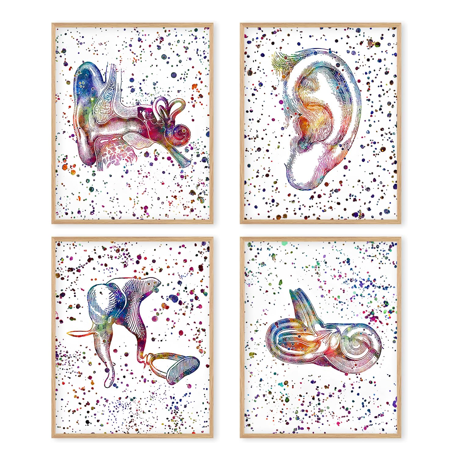 Amazon.com: Boat Wades Ear Poster Wall Art,Audiologist Gifts,Ear ...