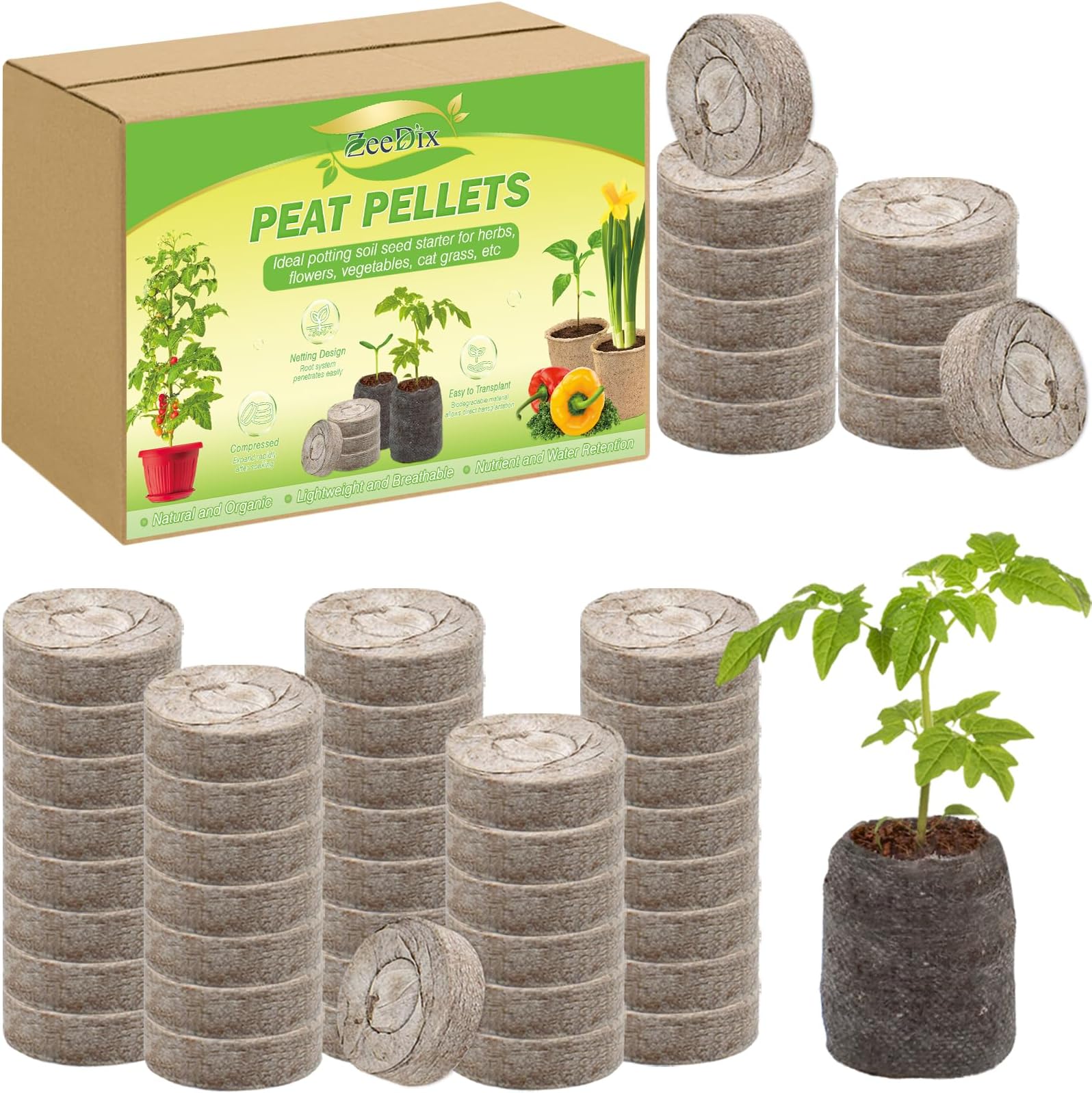 Amazon.com : 50 Pcs Seed Starter Sponges Pods, Rapid Peat Moss Rooter ...