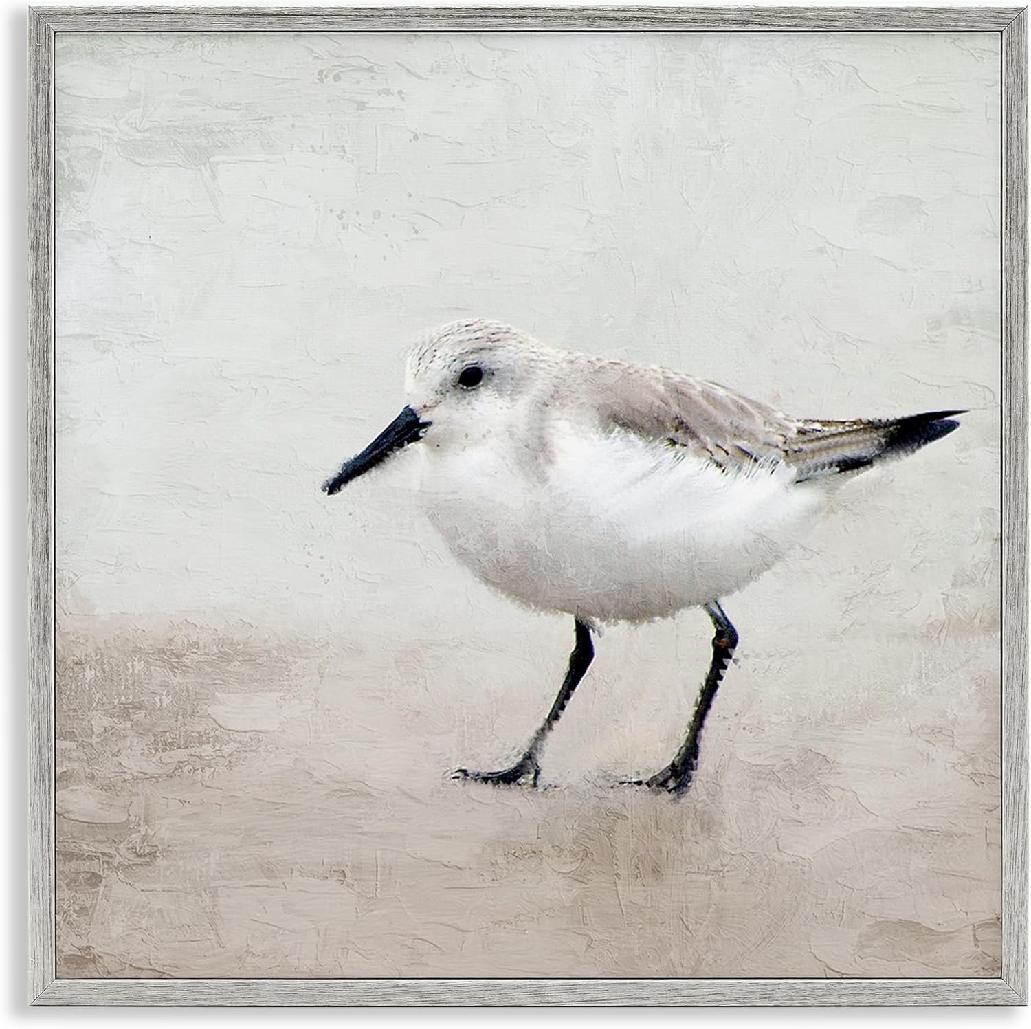 Amazon.com: Stupell Industries Lone Sandpiper Bird Portrait Framed Wall ...