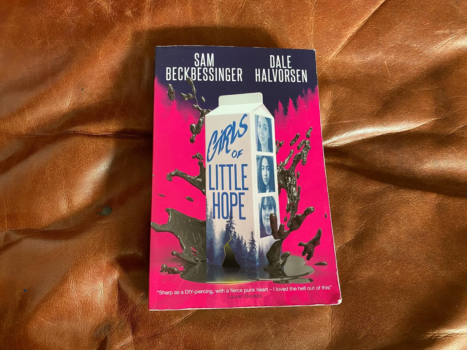 Girls of Little Hope: Amazon.co.uk: Dale Halvorsen, Sam Beckbessinger ...