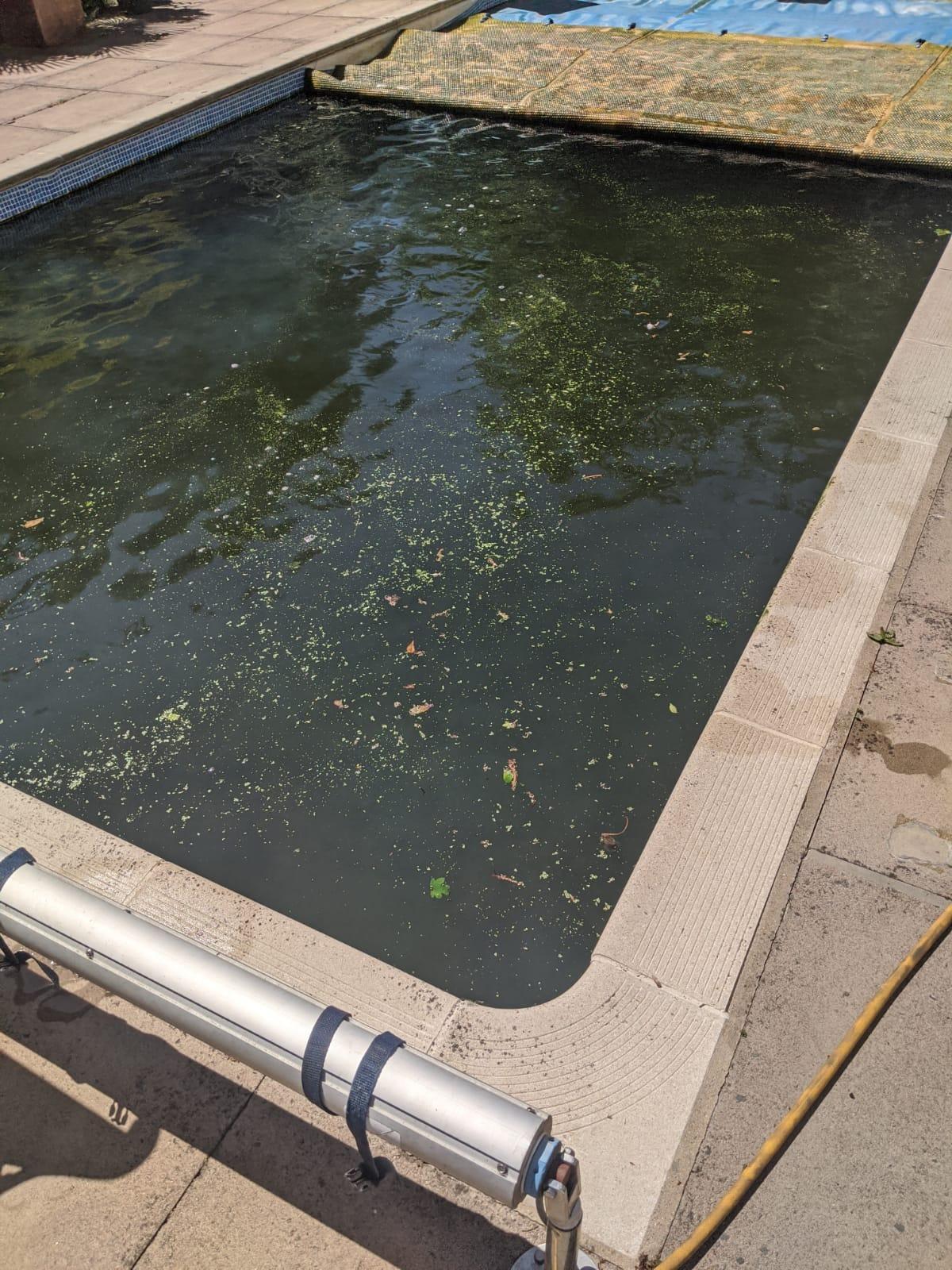 Oase Pond Vacuum Cleaner : Amazon.co.uk: Garden