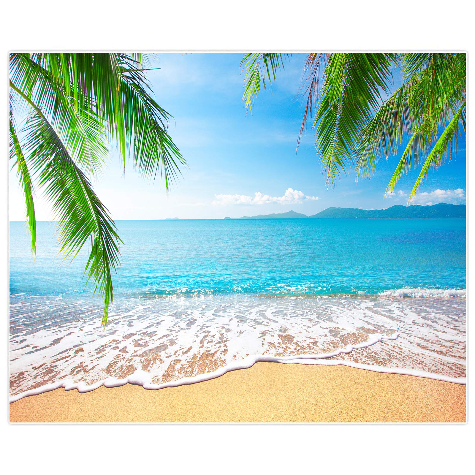 Buy Allenjoy 10X8ft Tropical Summer Backdrop Beach Palm Leaves ...