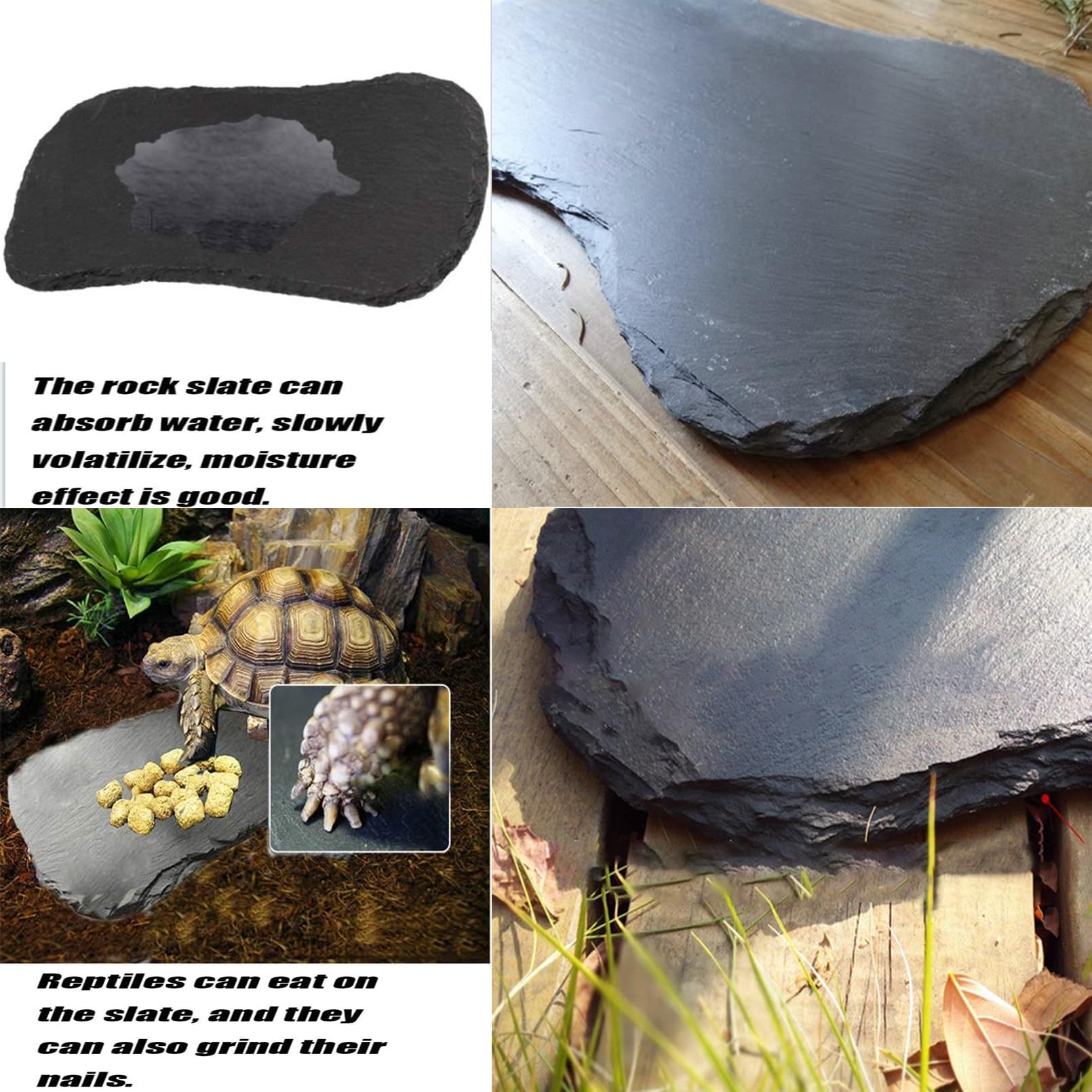 Snapklik.com : Reptile Basking Platform Turtle Rock Plate Feeding Food ...