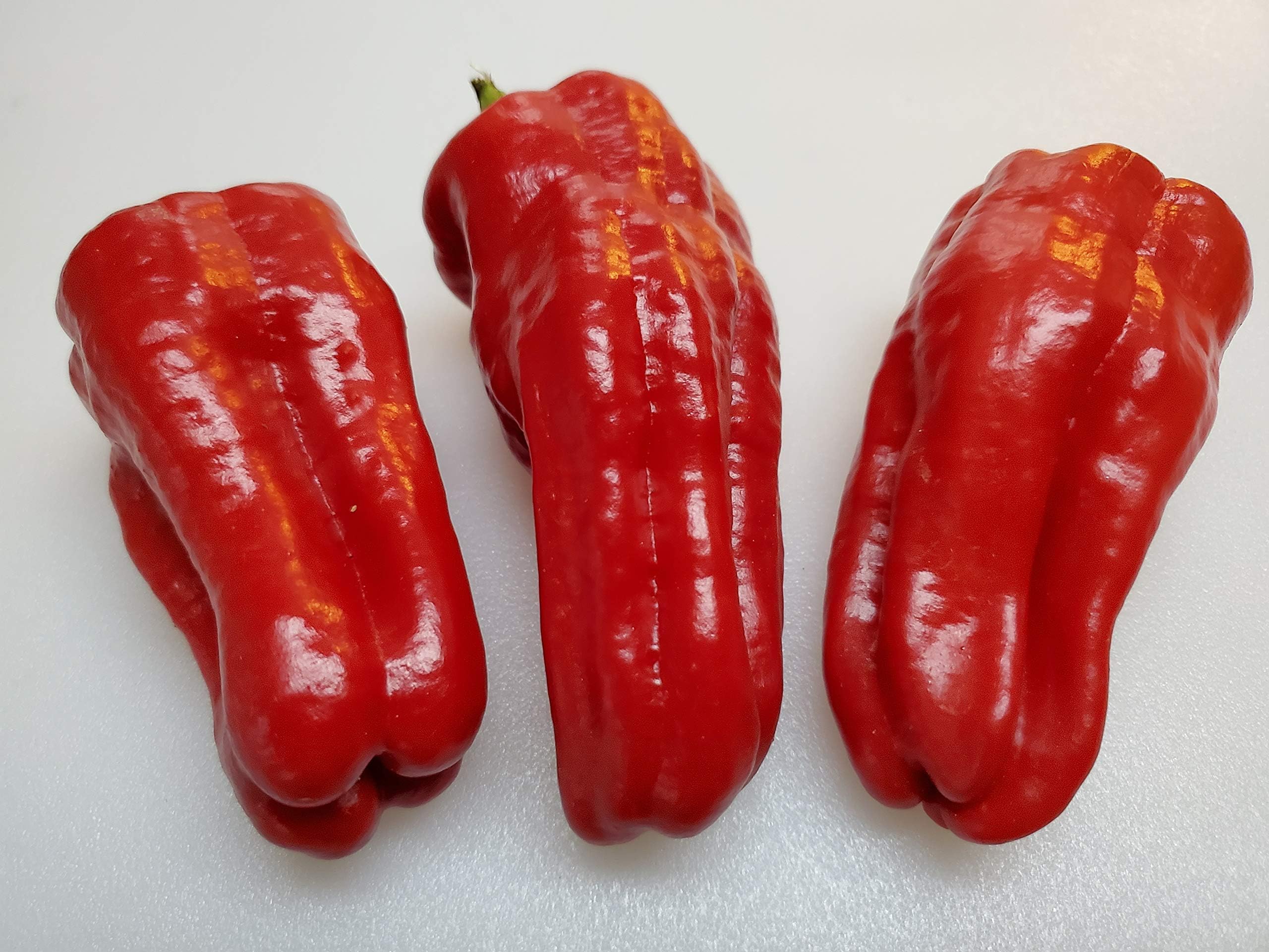 Amazon.com : Urfa Biber-Isot Pepper 10+ Seeds : Patio, Lawn & Garden