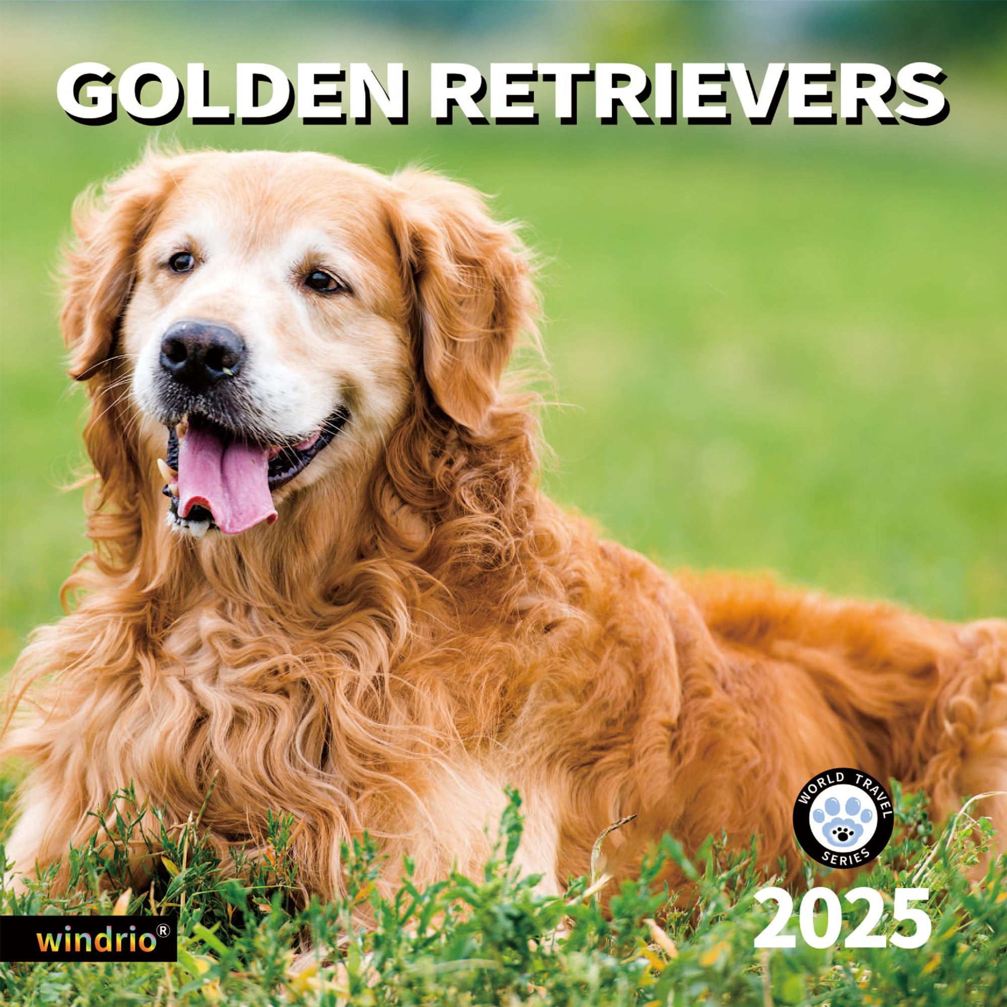 Buy 2025 Wall , 2025, November 2024 - December 2025, Wall Golden ...