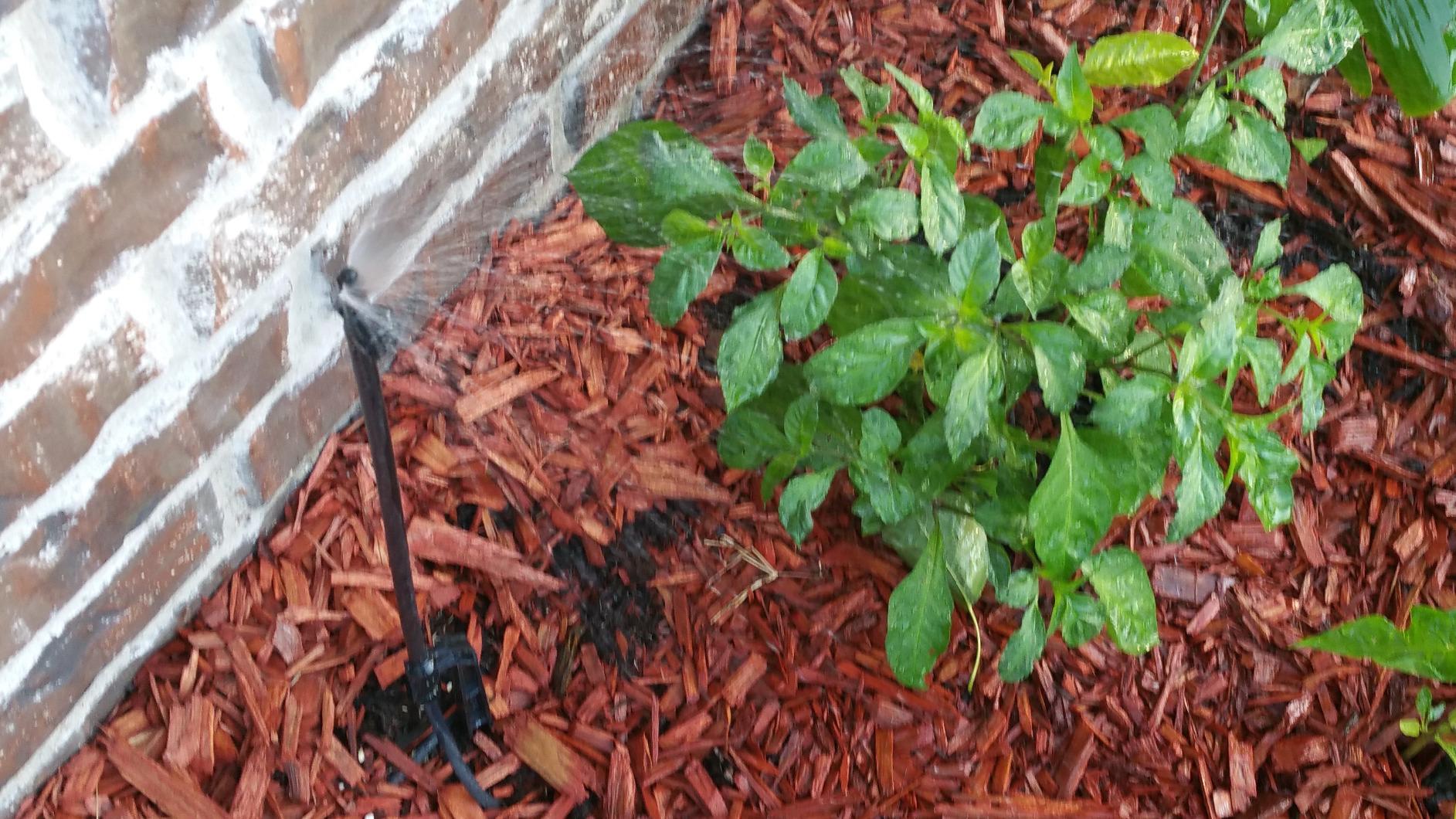 Amazon.com : Rain Bird MWSTK-1S Drip Irrigation Riser Stake with Barbed ...