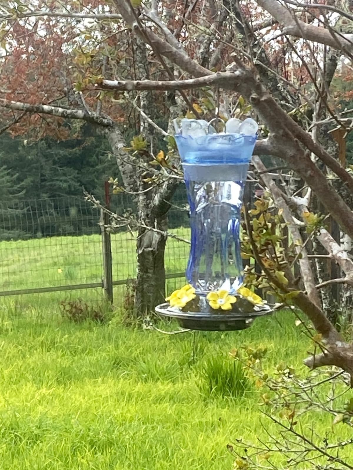 Plastic, not glass; rubber feeding ports will get moldy and need to be ...