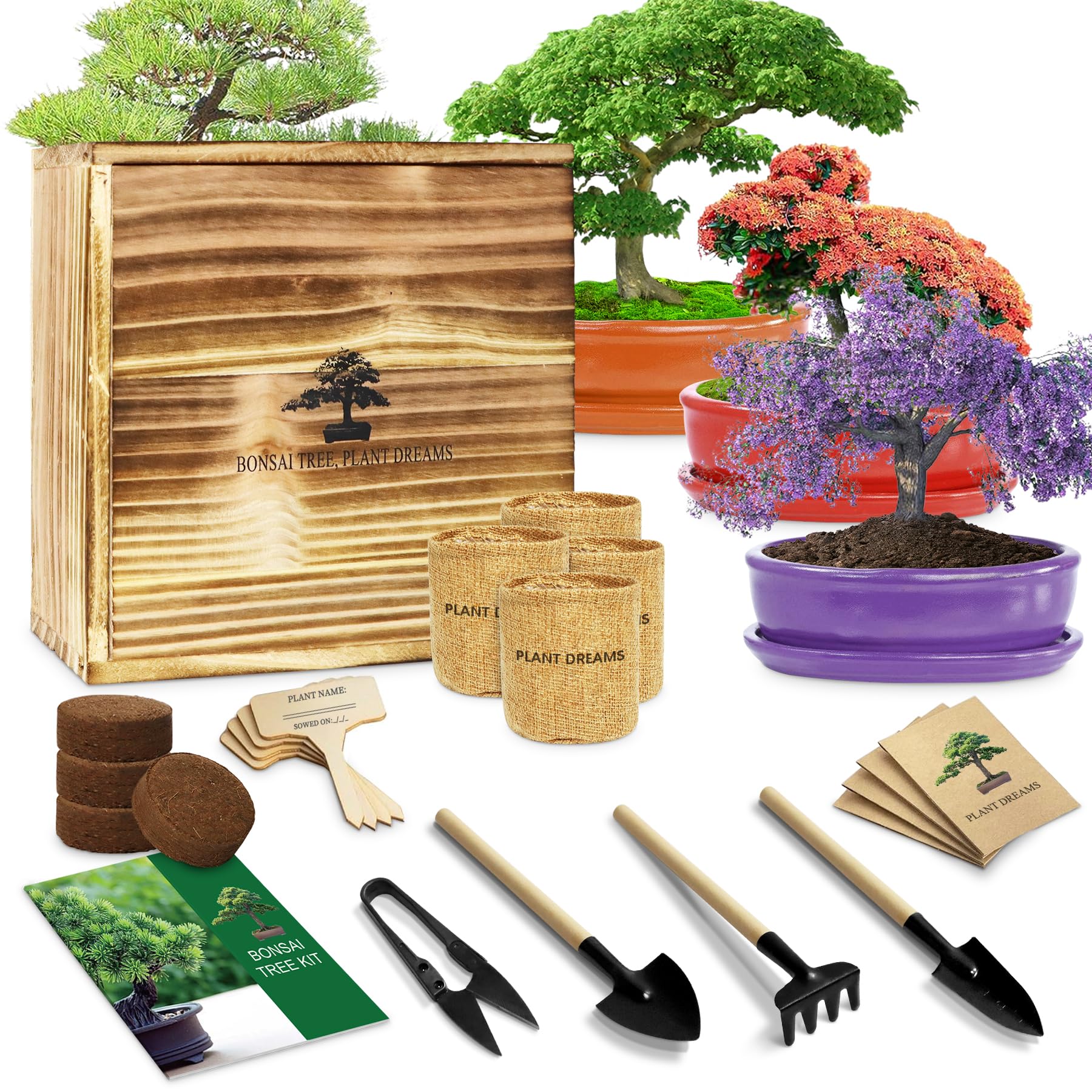 Amazon.com : LUOJIBIE Bonsai Tree Kit with 4 Growing Bonsai Tree Seeds ...