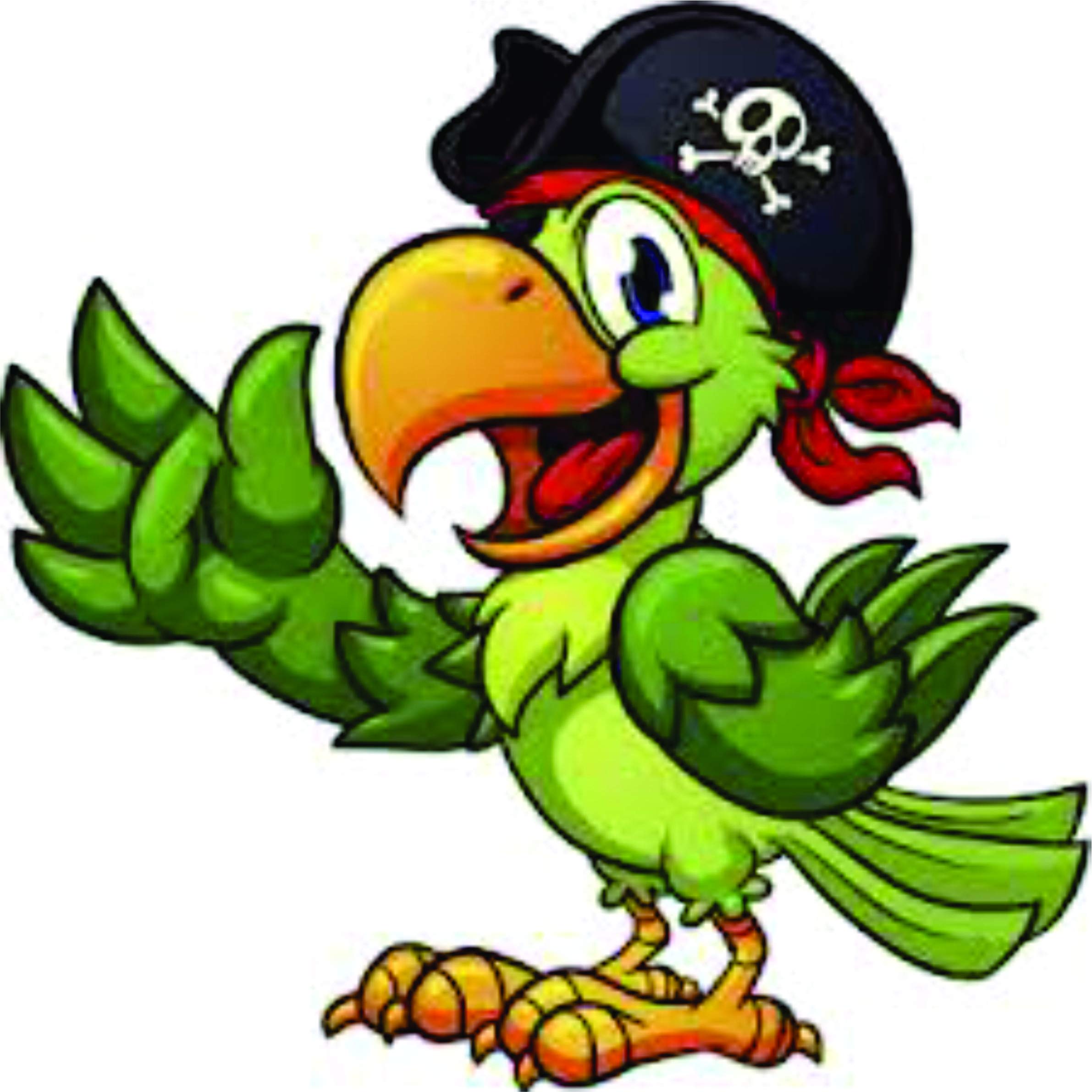 Pirate Bird