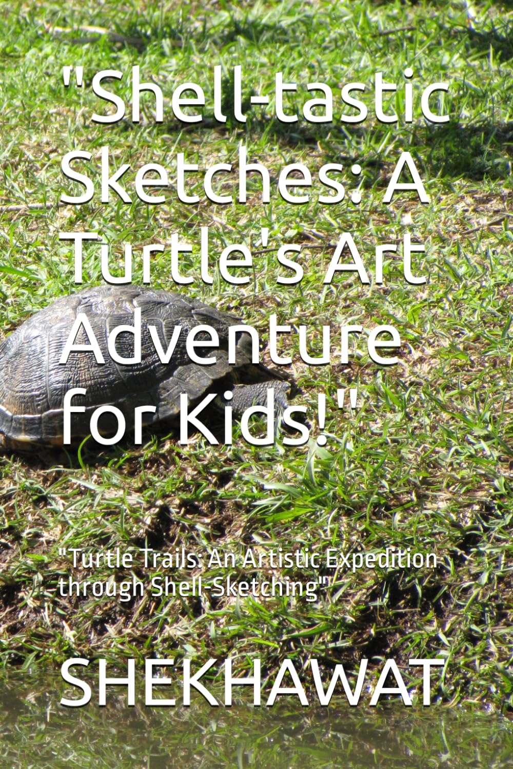 "Shell-tastic Sketches: A Turtle's Art Adventure for Kids!": "Turtle ...