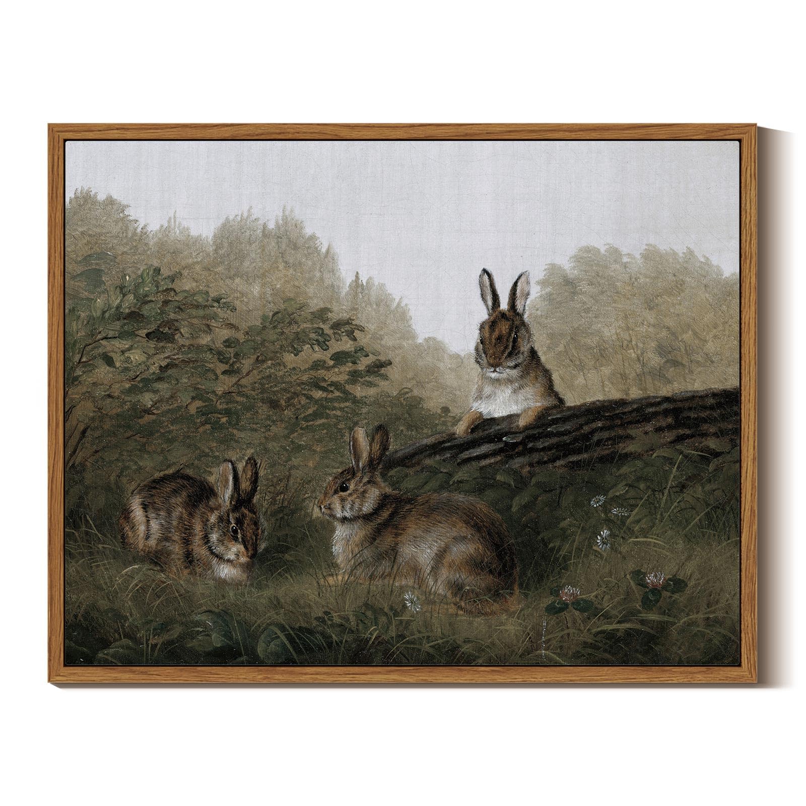 Amazon.com: InSimSea Framed Wall Art for Living Room Three Rabbits ...