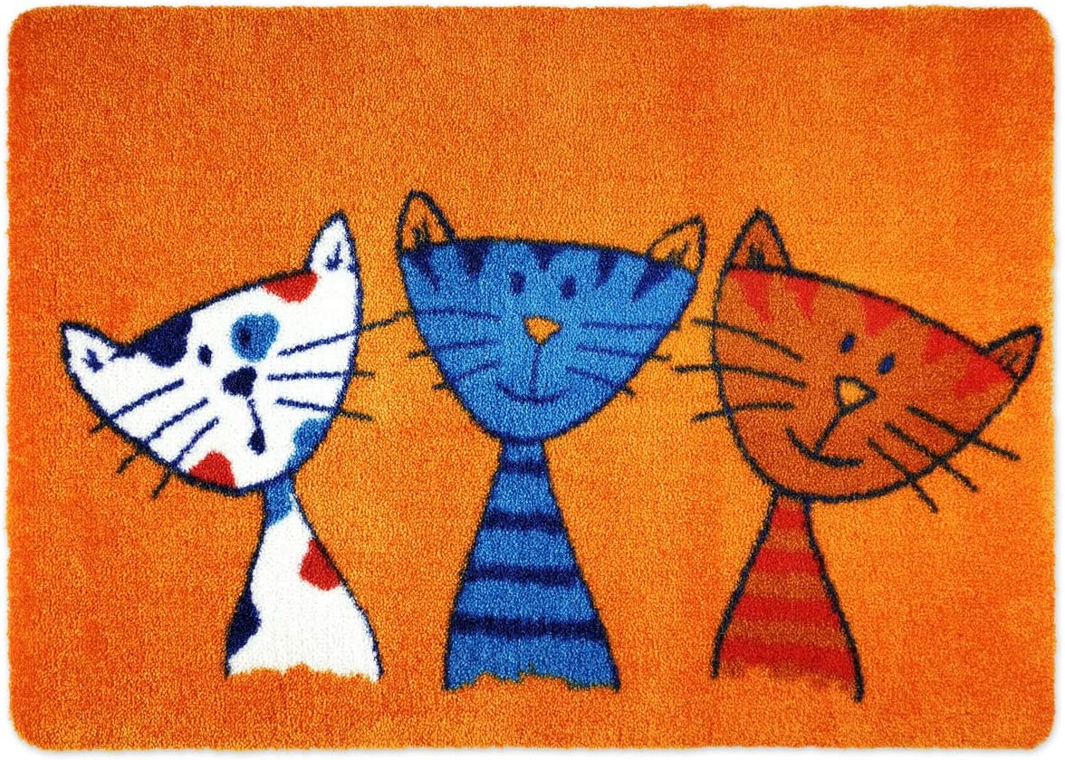 Designer Door Floor Mat For Your Hallway Bathroom Indoor And designer-door-floor-mat-for-your-hallway-bathroom-indoor-and