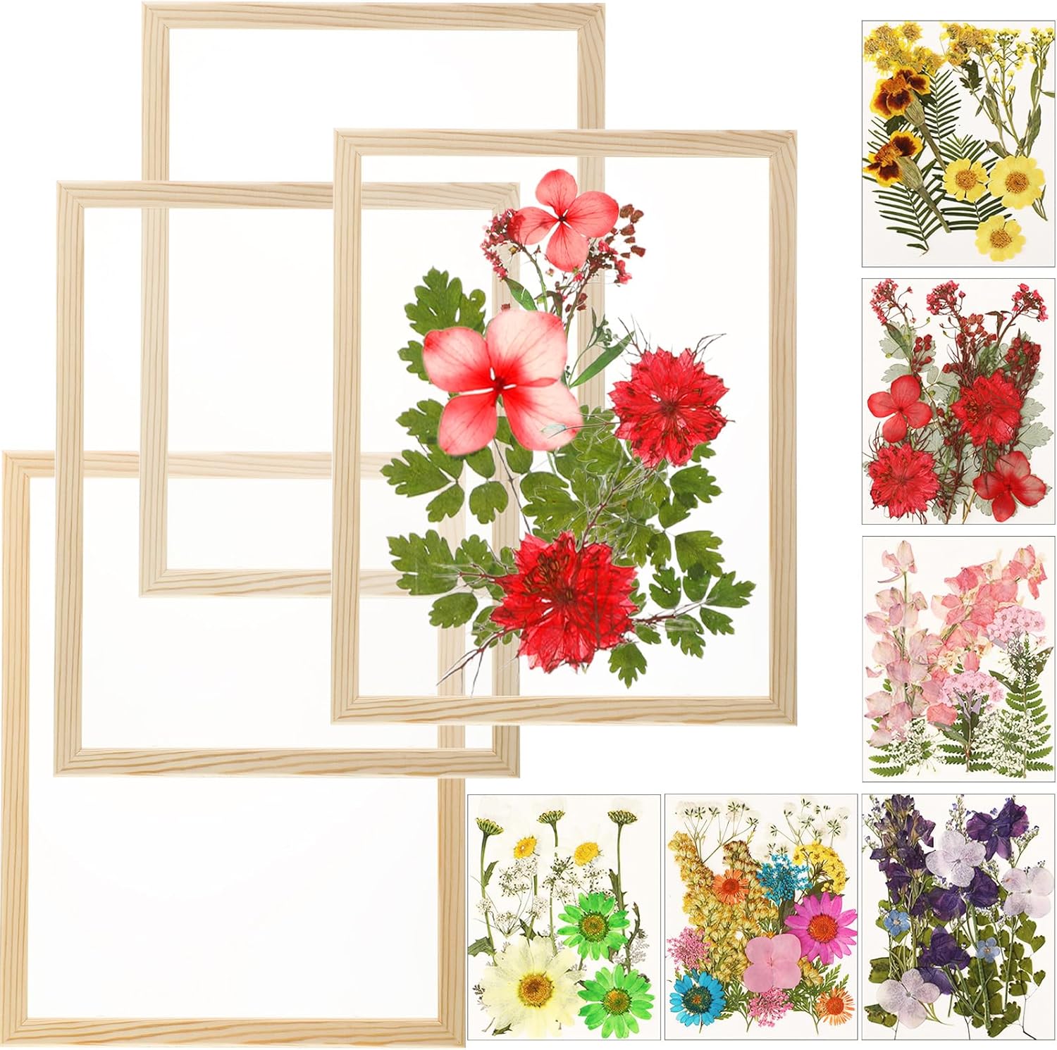 Amazon.com: Wesiti 4 Pieces 11 x 14 Inch Floating Frames for Pressed ...