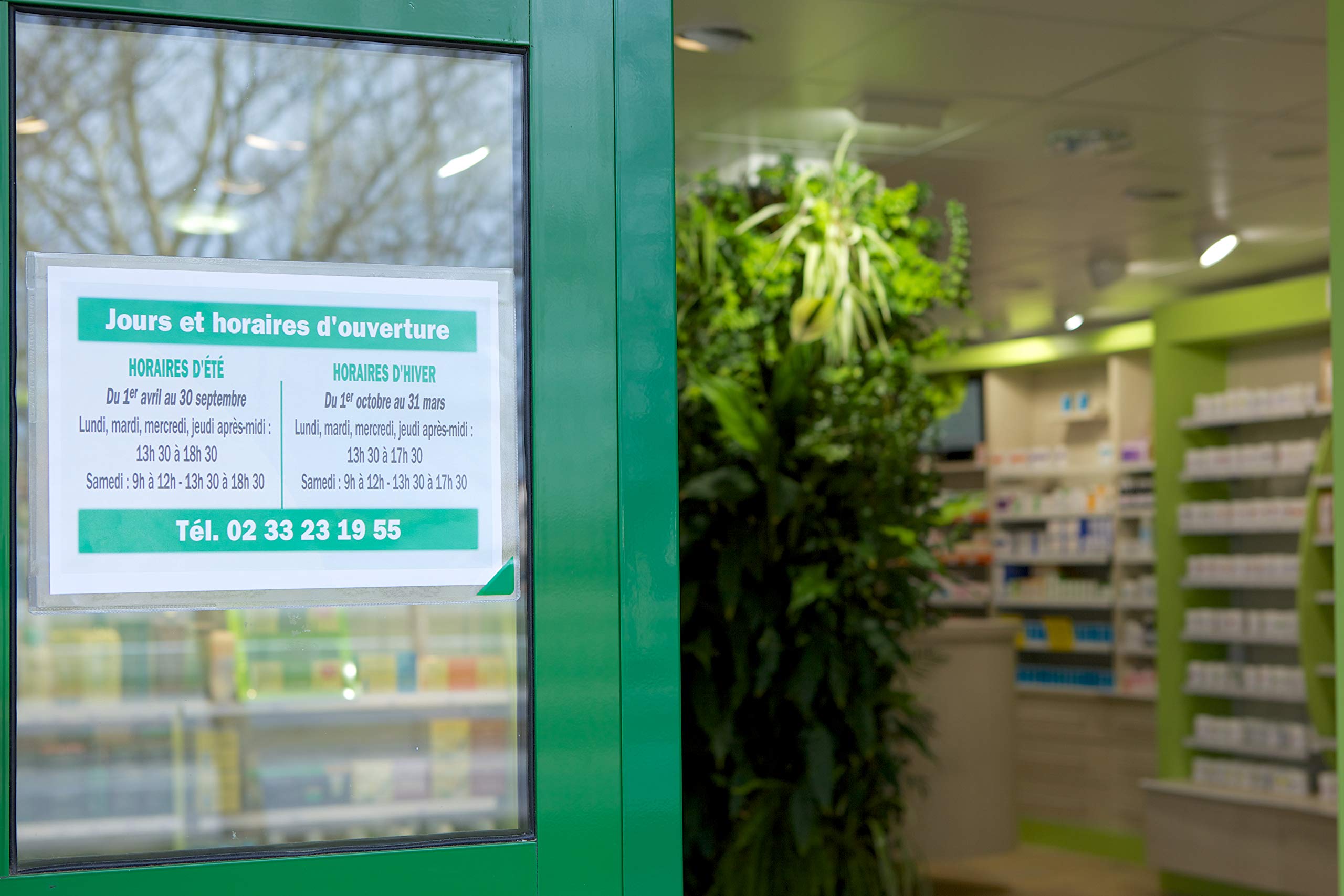 Snowboard Helmet Stickers 160-Pack Crash Test Stickers - 30mm ...