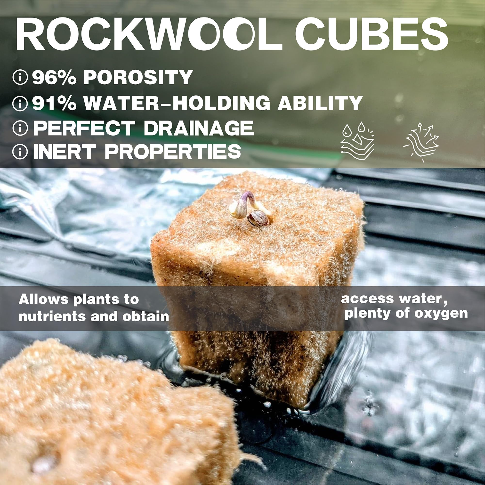 Snapklik.com : CastleGreens Rock Wool Planting Cubes, Rockwool Cubes 1 ...