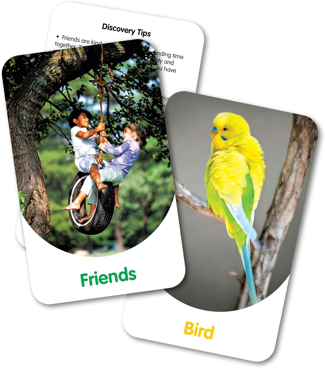 Amazon.com: The Learning Journey Discovery Cards - in & Around ...