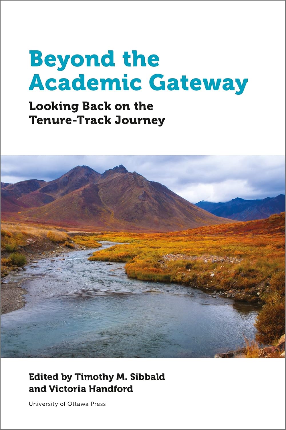 Beyond the Academic Gateway: Looking back on the Tenure-Track Journey ...