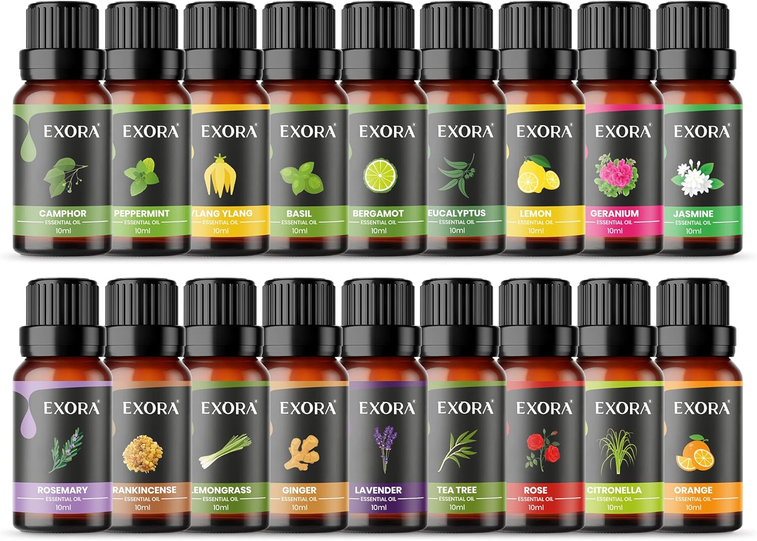 EXORA Essential Oil 10ml Aromatherapy Diffuser Burner Essential Oils ...