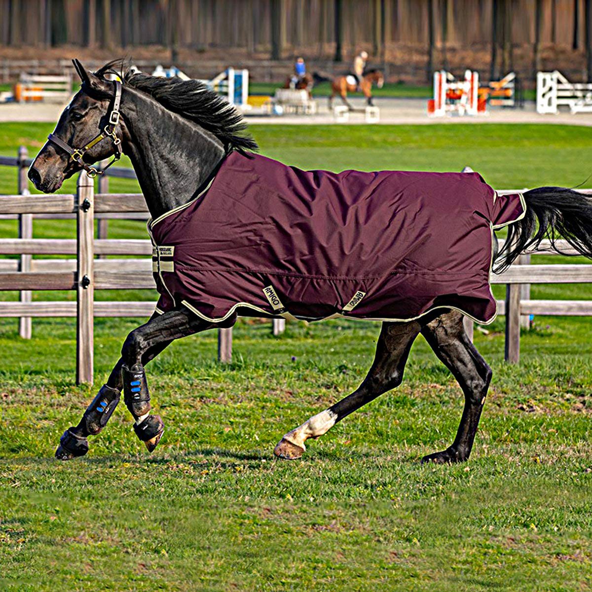 AMIGO Hero Ripstop 100g : Amazon.in: Pet Supplies