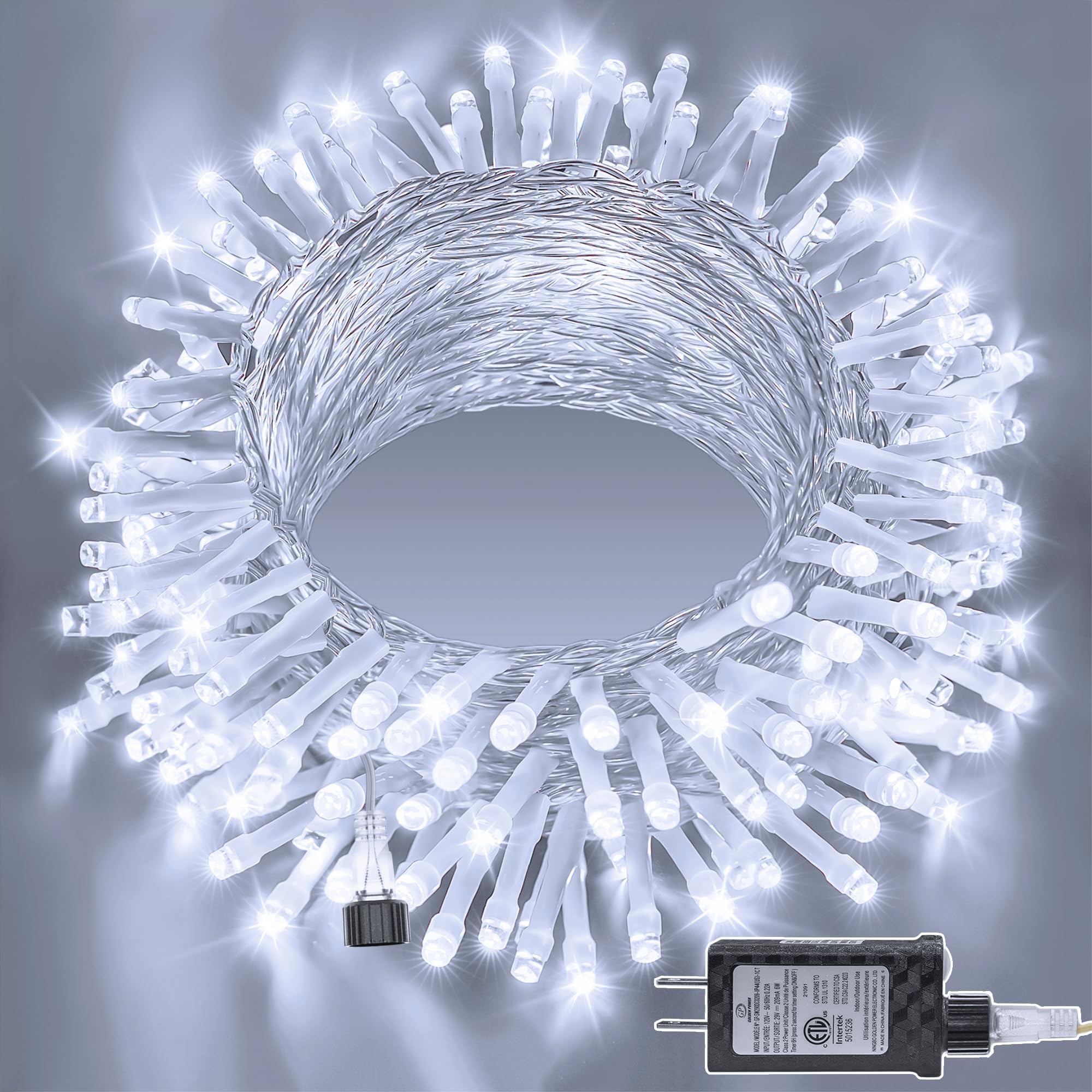 Amazon.com: RTGS 2 Sets 20 LEDs Warm White Color String Lights Silver ...