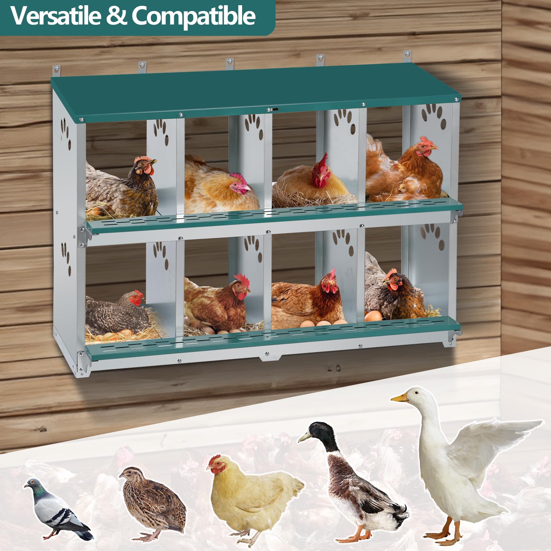 Snapklik.com : Chicken Nesting Box, 8 Compartment Roll Away Nesting Box ...