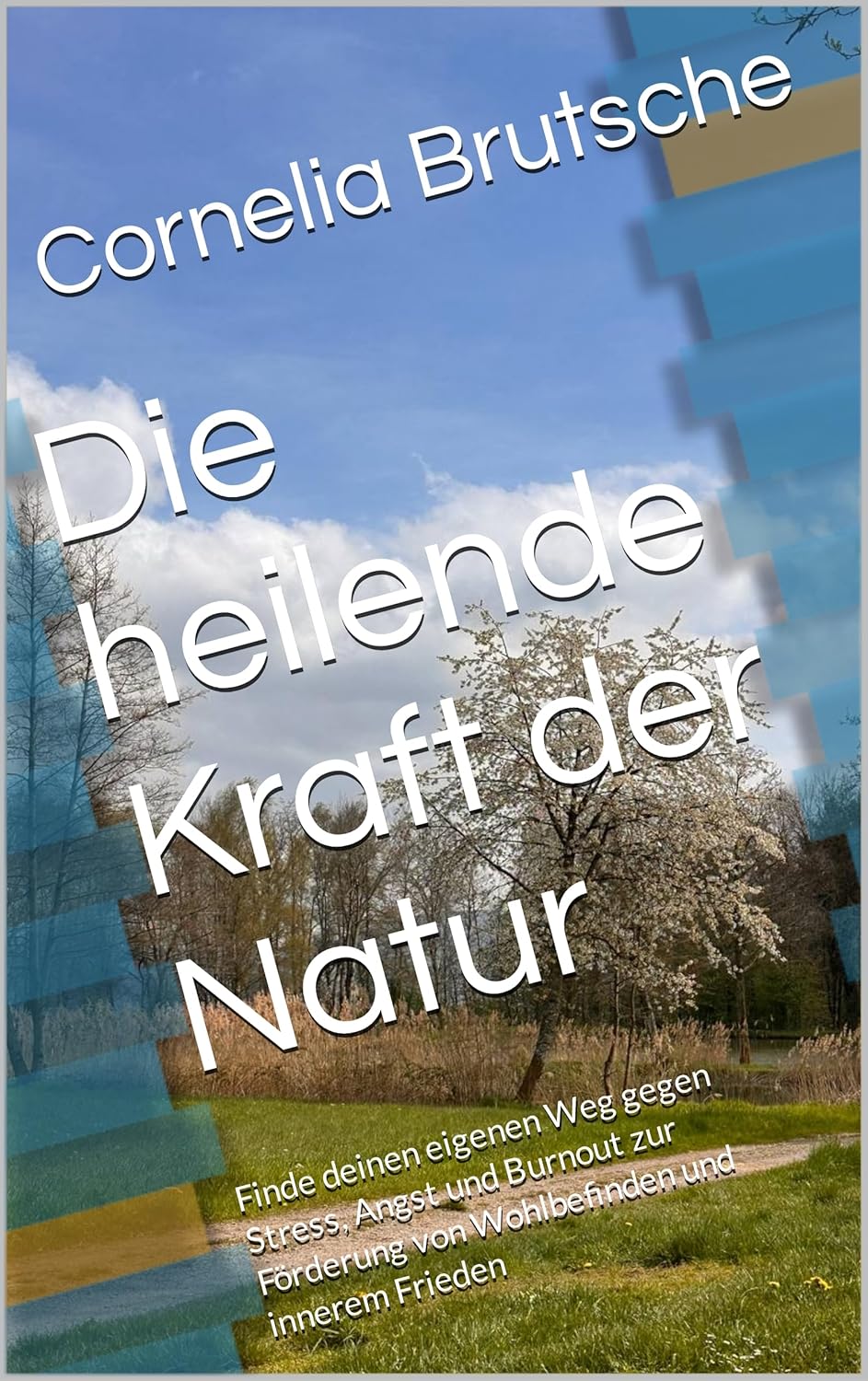 Die heilende Kraft der Natur: Finde deinen eigenen Weg gegen Stress, Angst und Burnout zur ...