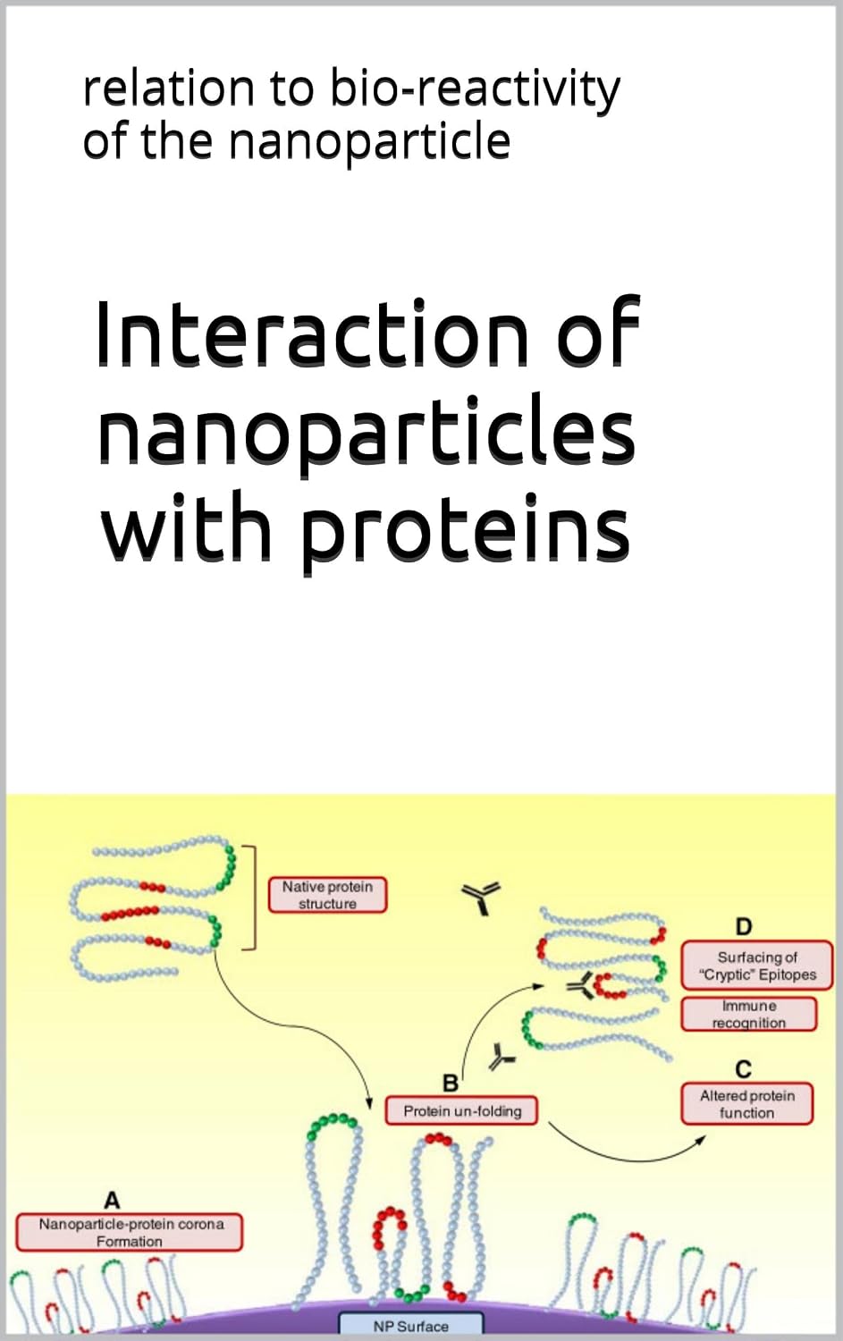 Interaction of nanoparticles with proteins: relation to bio-reactivity ...