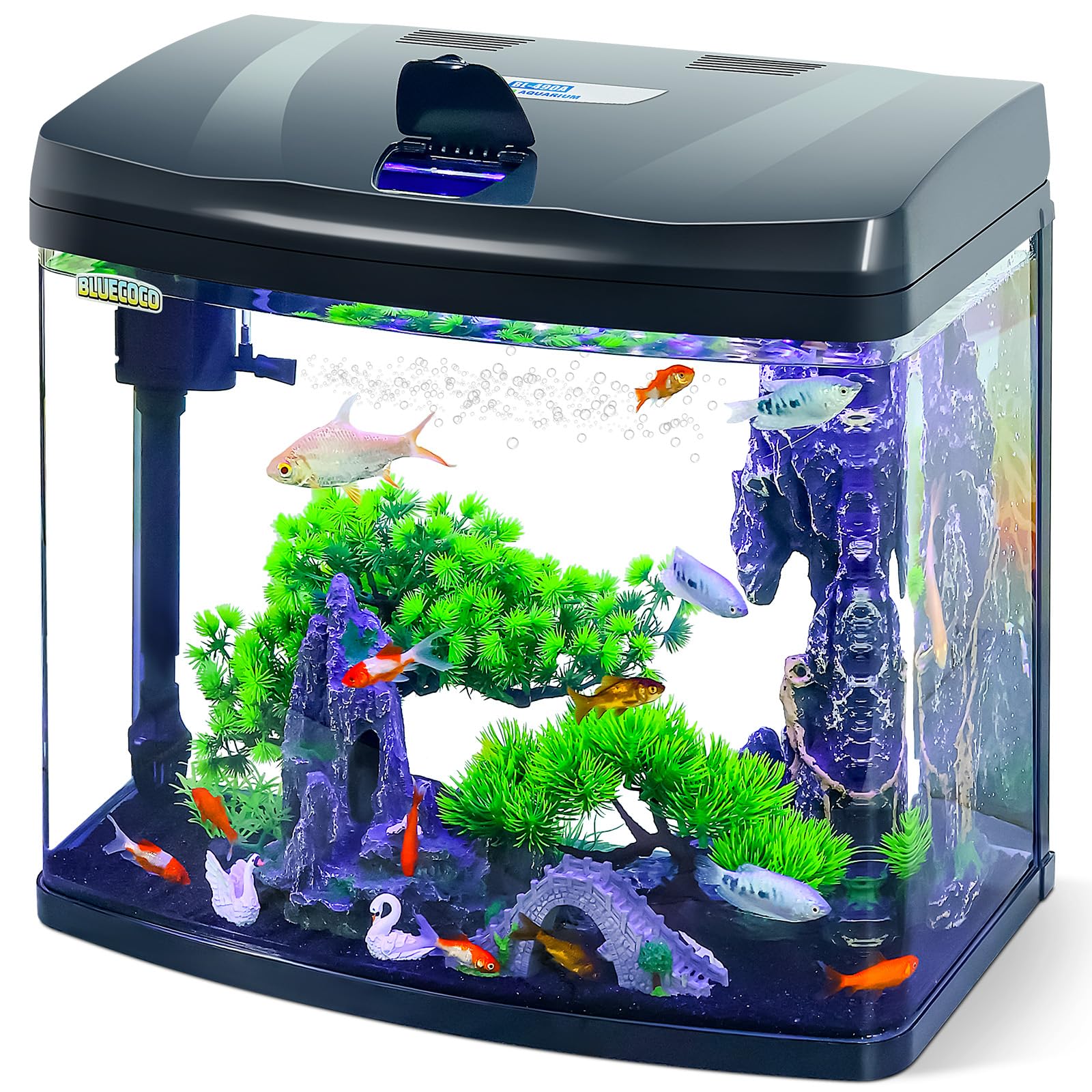 Aquarium Fish Tank Prices
