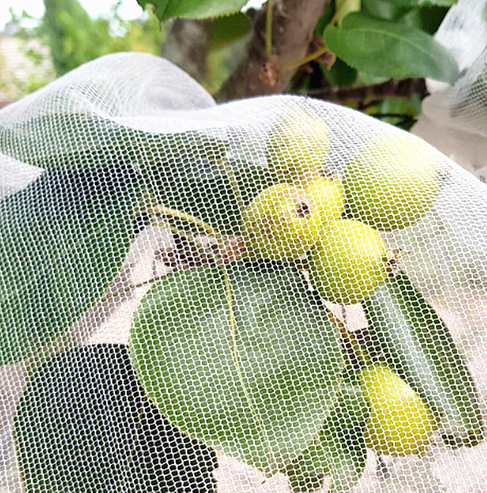 Garden Netting Fine Mesh Fruits Tree Vegetable Protection Mesh Netting ...