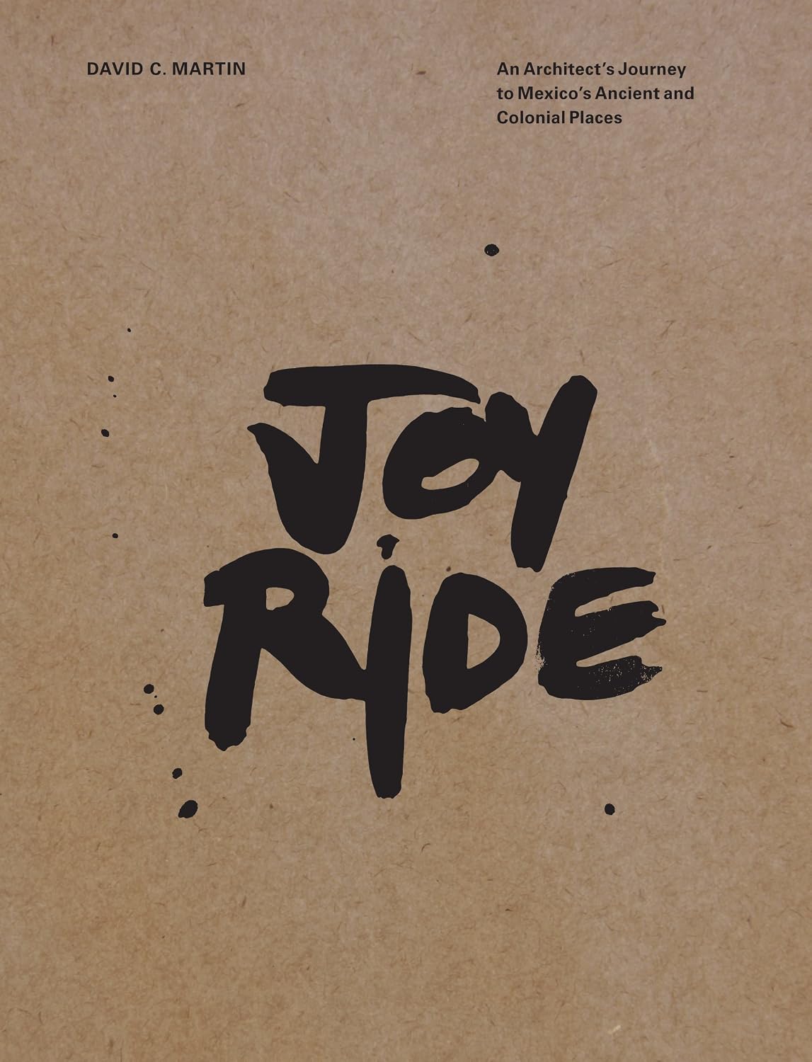 Joy Ride: Martin, David, Woodard, Stephanie: 9781939621733: Amazon.com ...