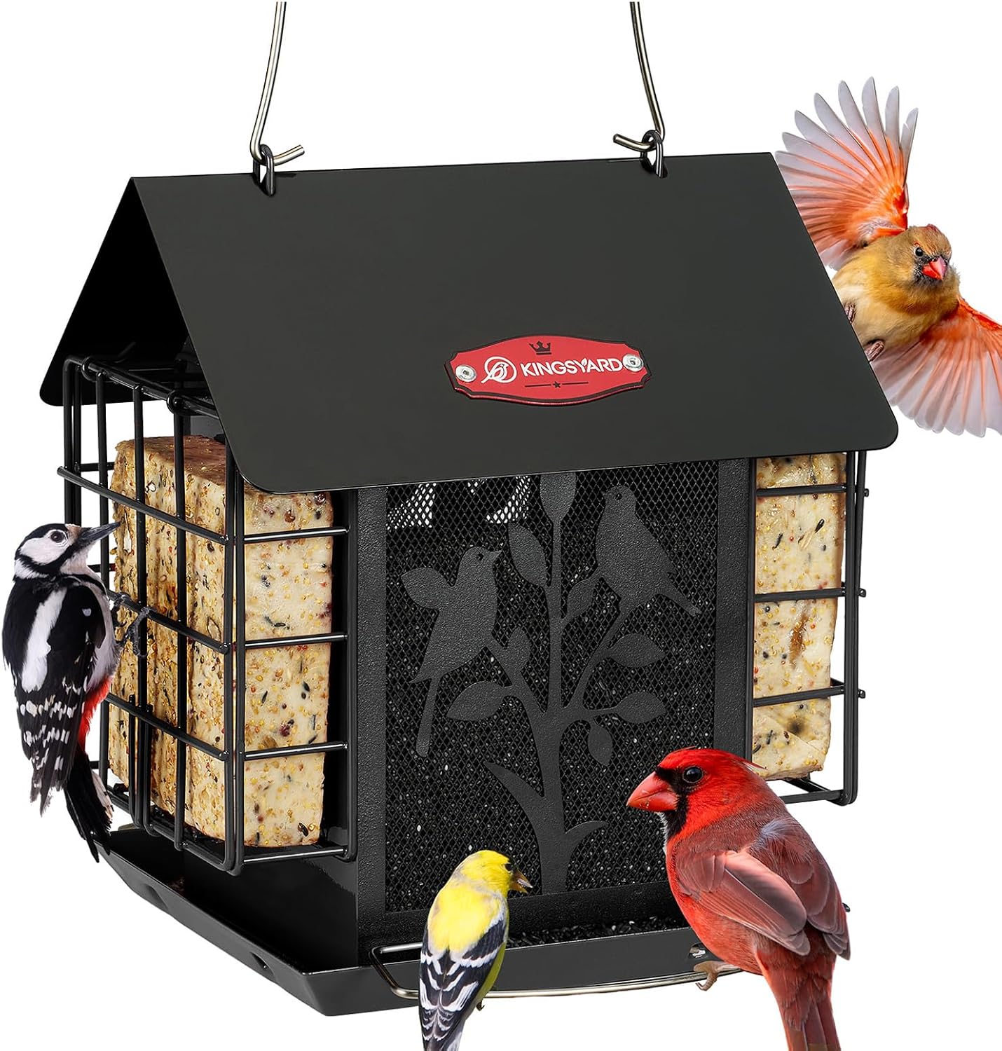 Amazon.com : Kingsyard Bird Feeder for Outdoor Hanging + Kingsyard ...