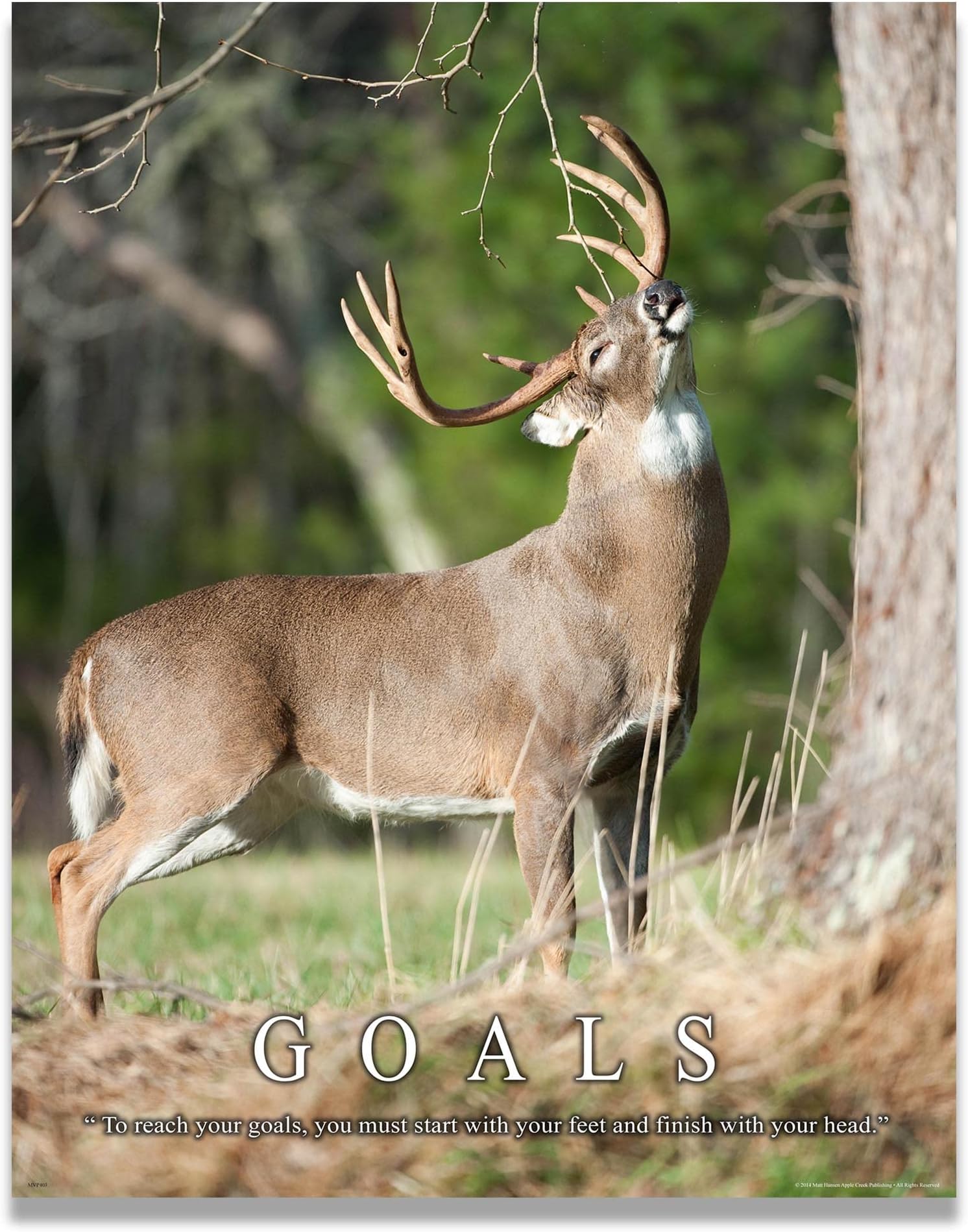 Amazon.com: Whitetail Deer Motivational Poster Art Print 11x14 Bow ...
