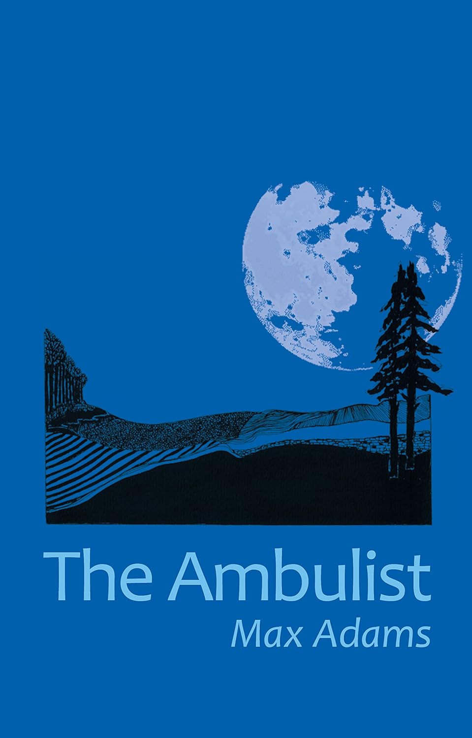 The Ambulist: Adams, Max: 9780993591907: Amazon.com: Books