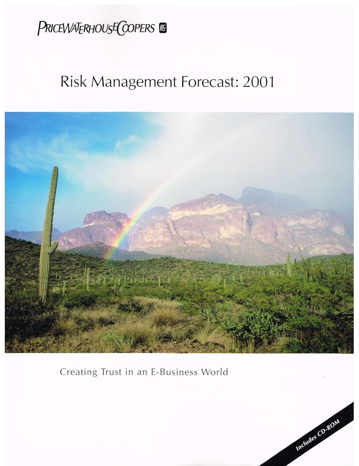 Risk Management Forecast: 2001: PricewaterhouseCoopers: 9780970653505 ...