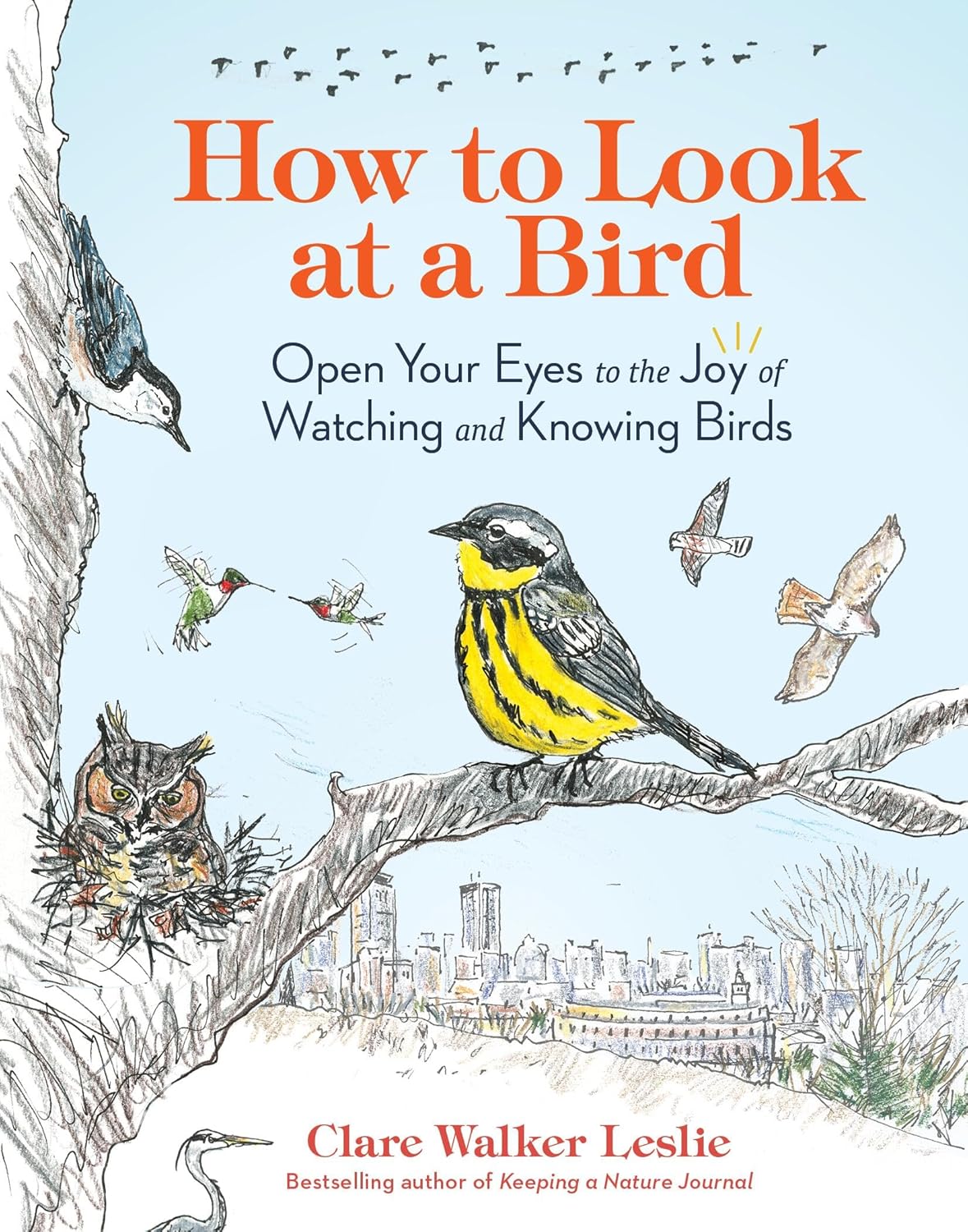 Amazon | How to Look at a Bird: Open Your Eyes to the Joy of Watching ...